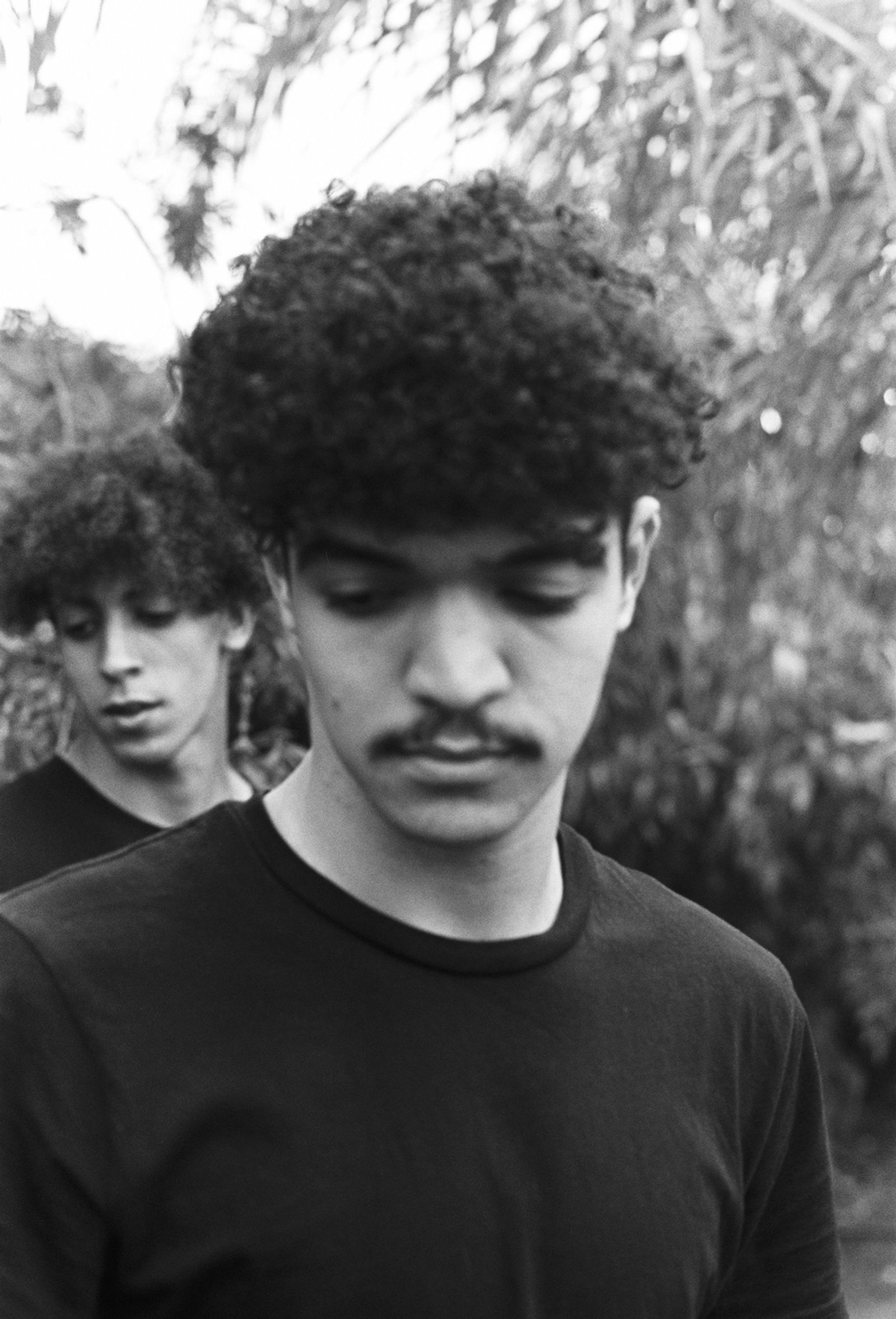 CHASING BUTTERFLIES - PhMuseum