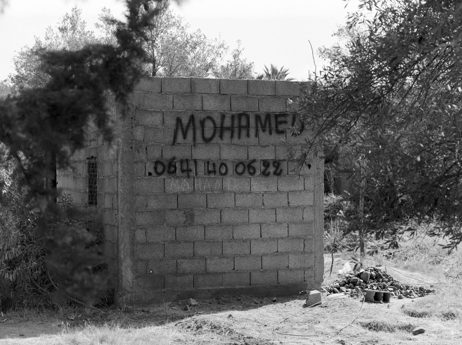 La chasse aux papillons - PhMuseum