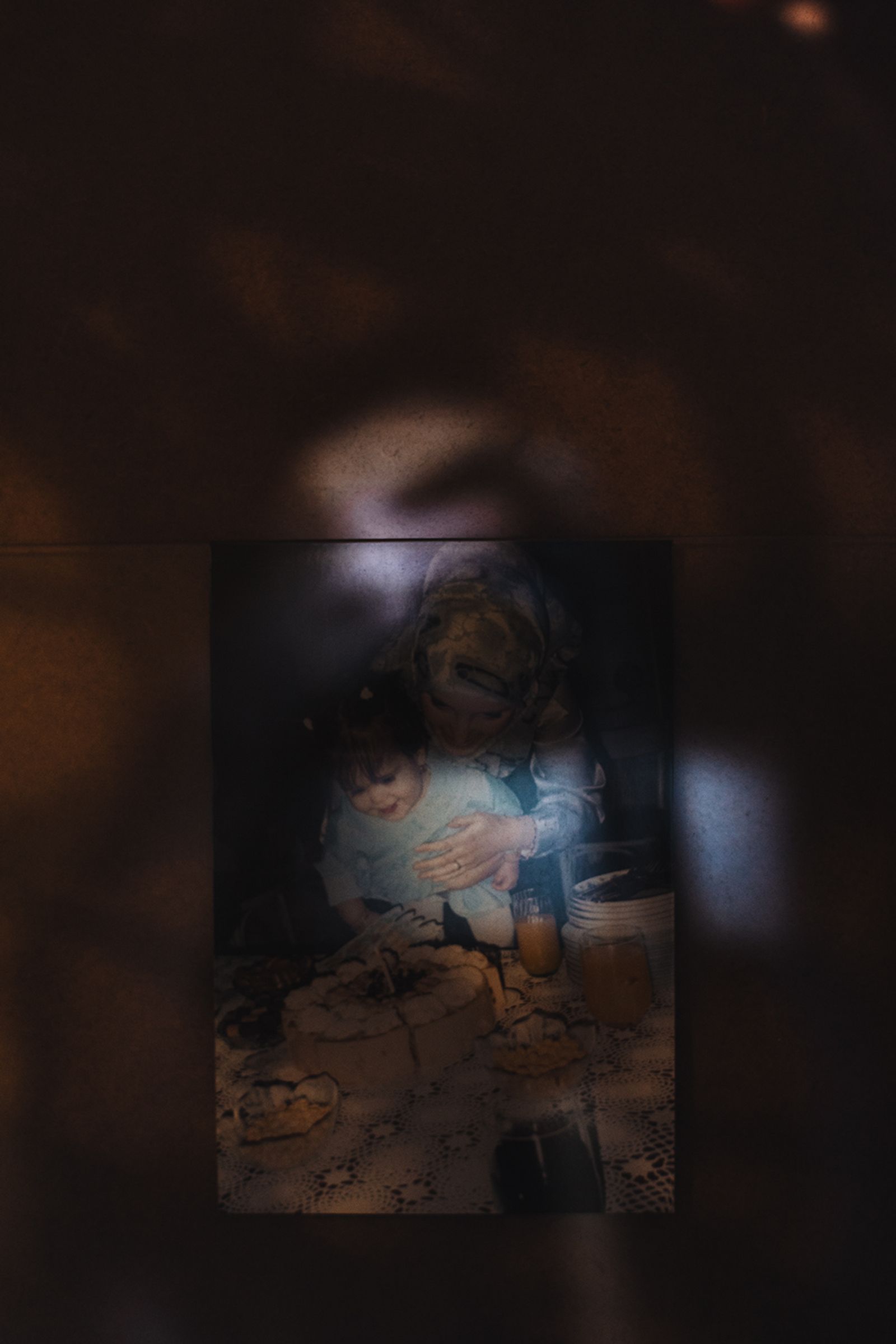 Dandelion - PhMuseum