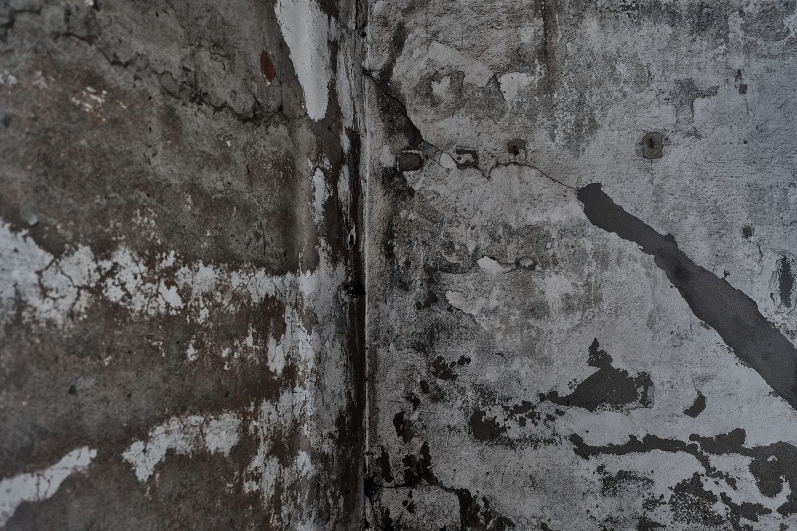 UMANE TRACCE - PhMuseum