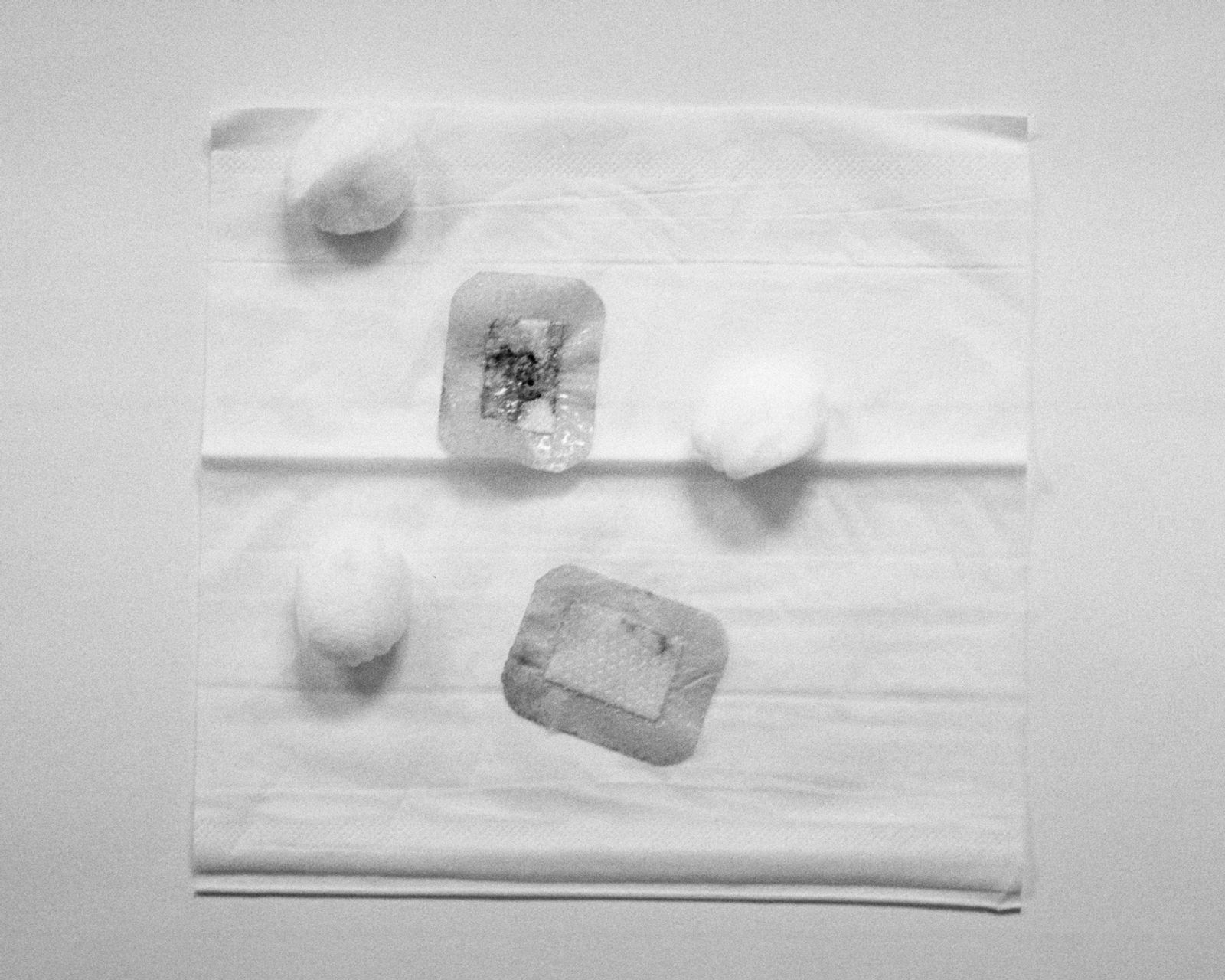 You Felt the Roots Grow - PhMuseum