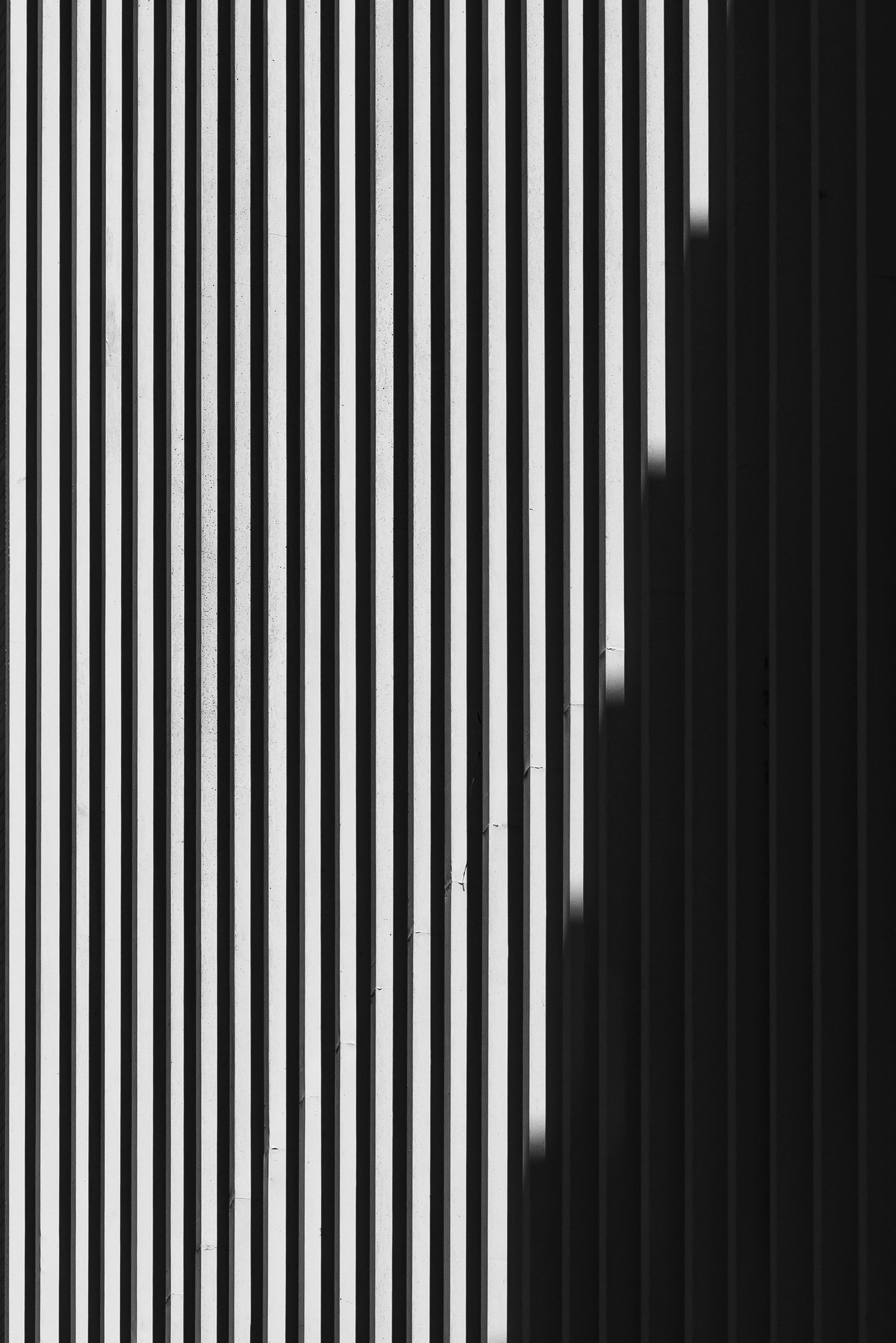 Lines of Shadow - PhMuseum