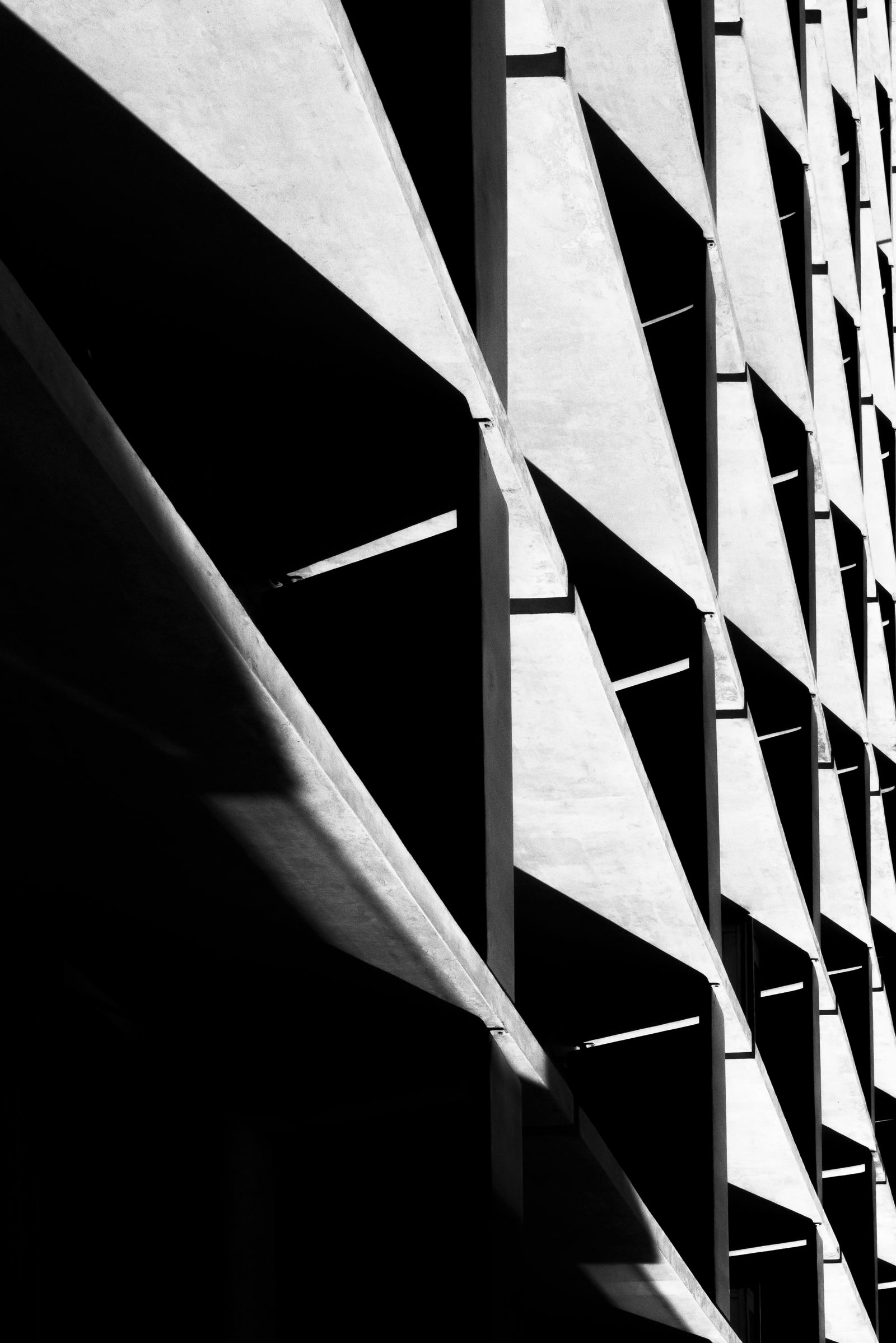 Lines of Shadow - PhMuseum