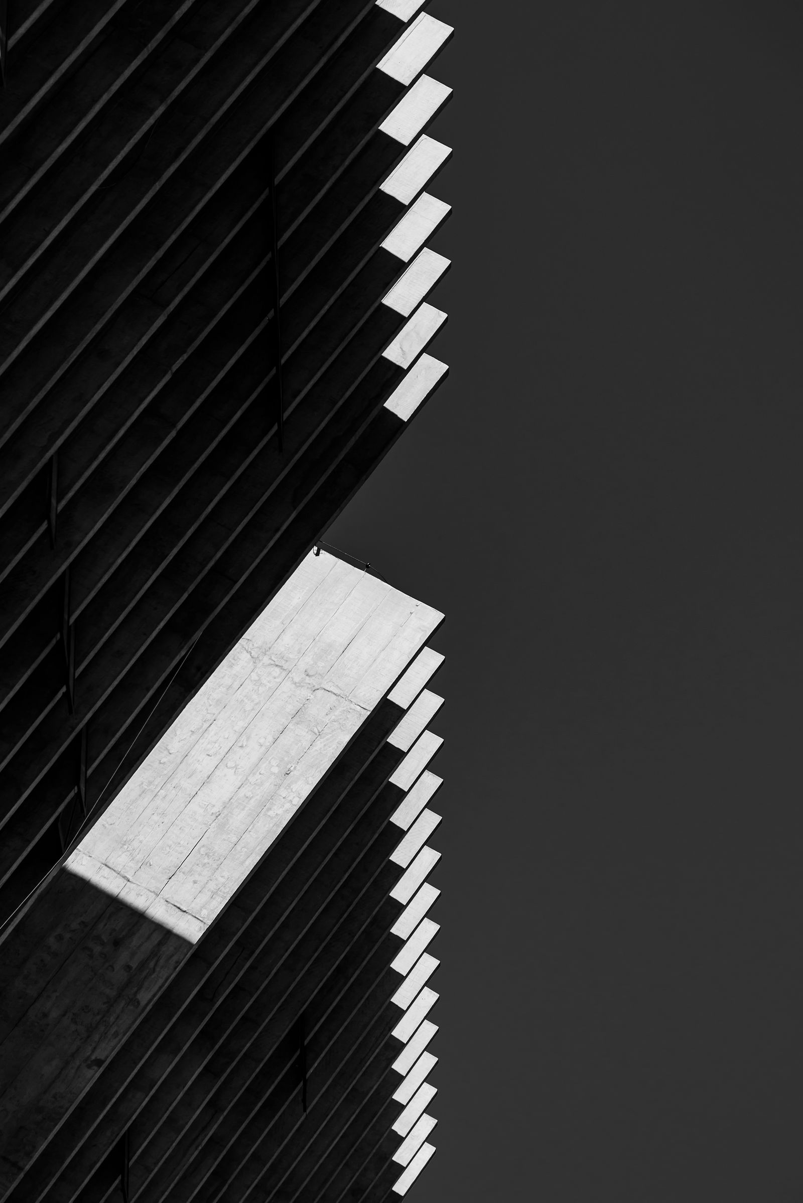 Lines of Shadow - PhMuseum