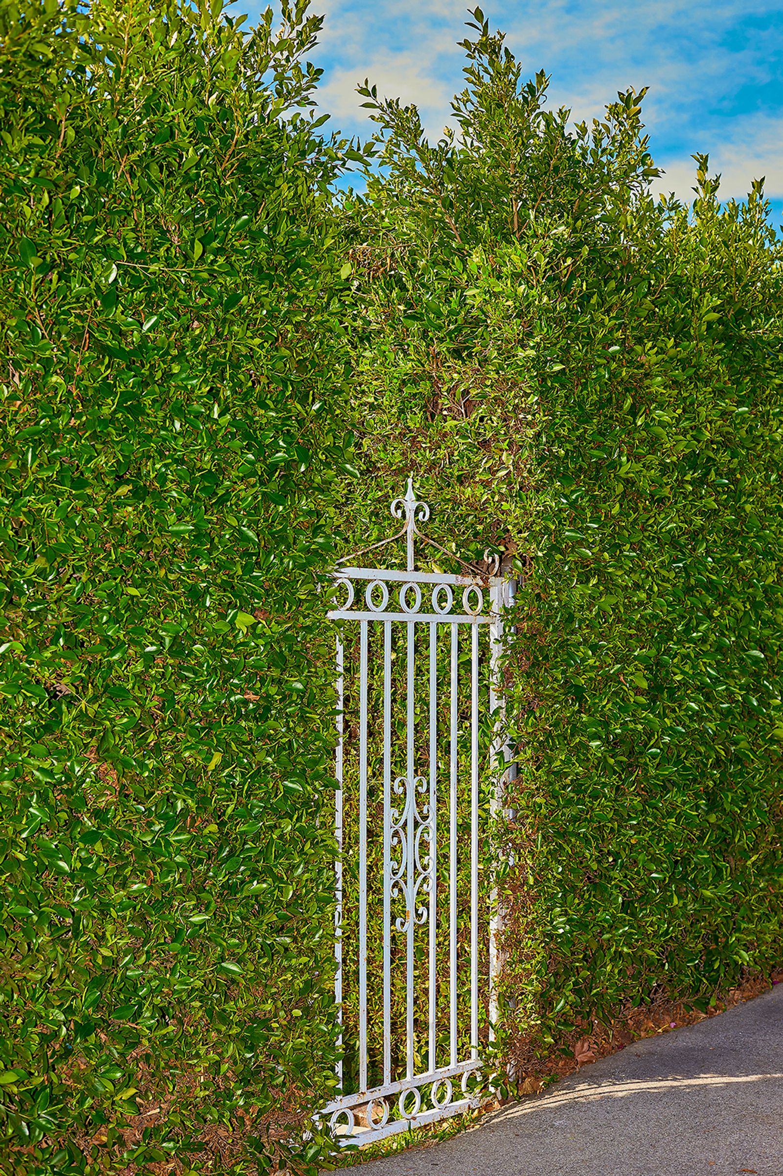 Santa Monica - PhMuseum