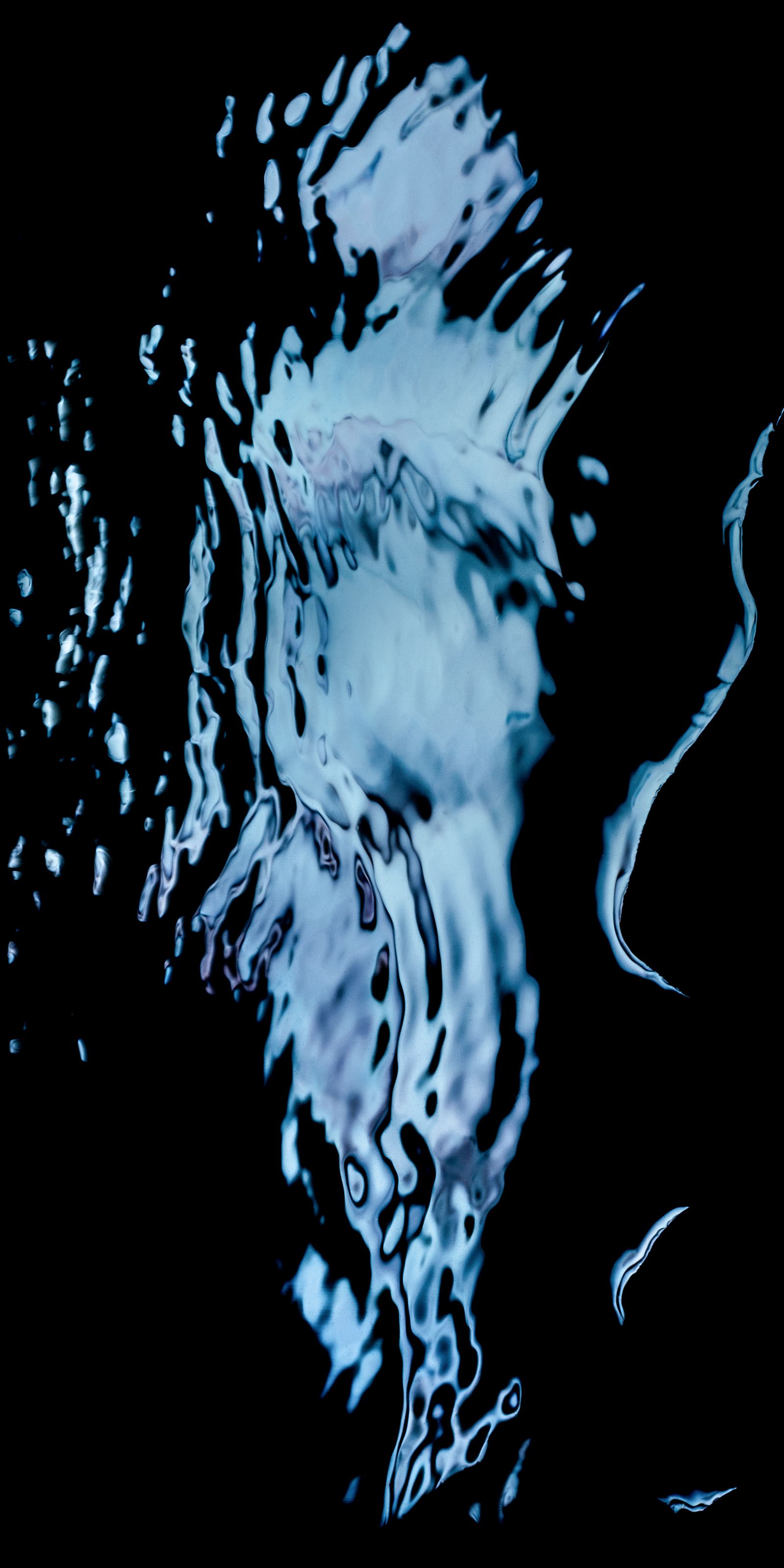 The Perfect Body - PhMuseum