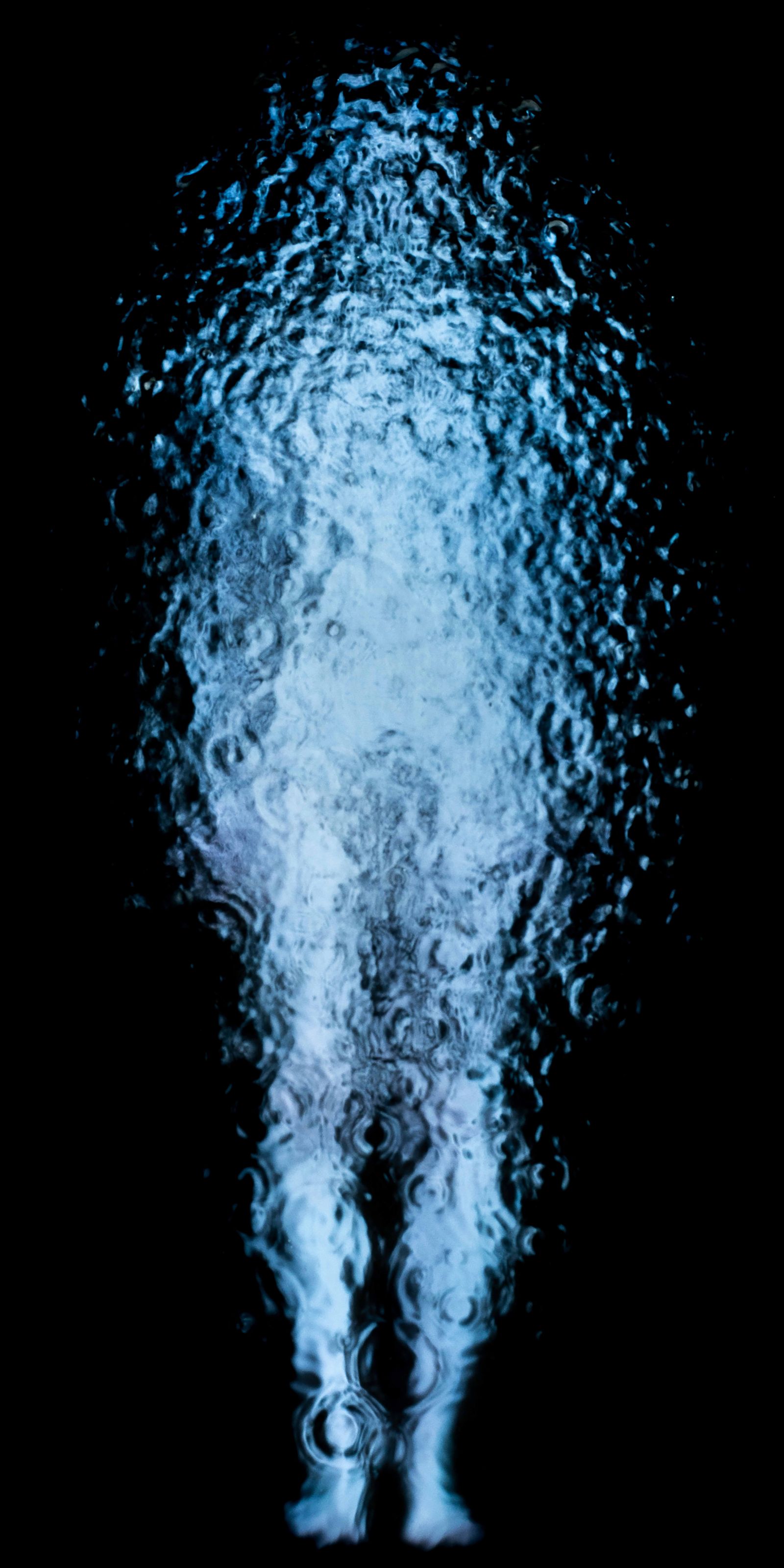 The Perfect Body - PhMuseum