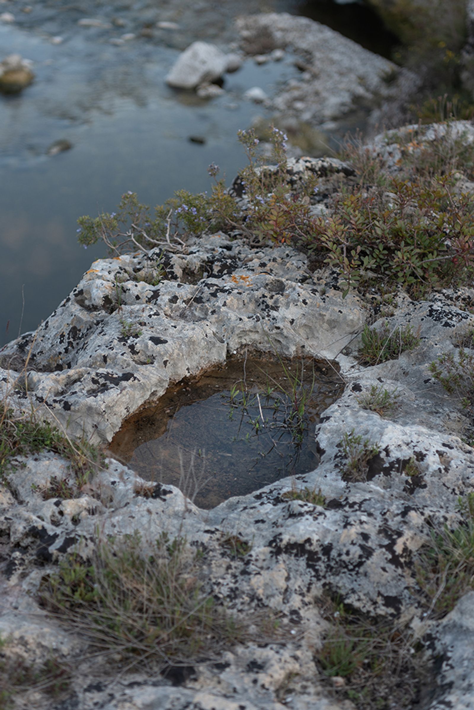 Collisione - PhMuseum