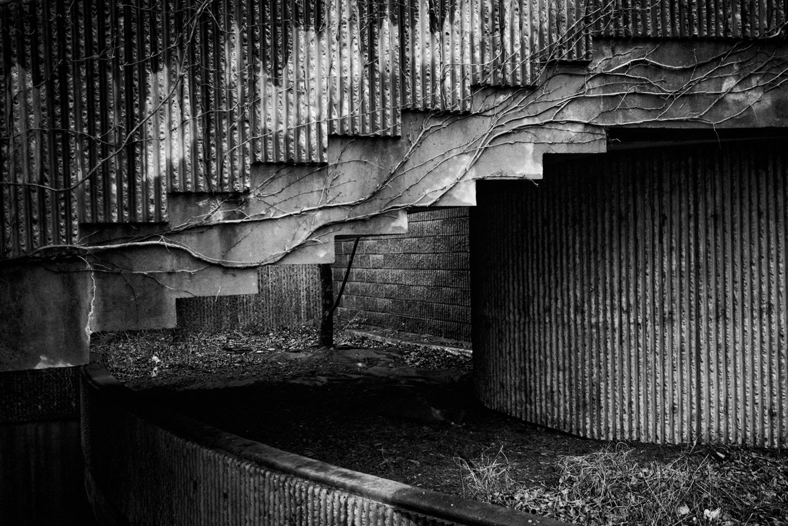 The Lindemann Center - PhMuseum