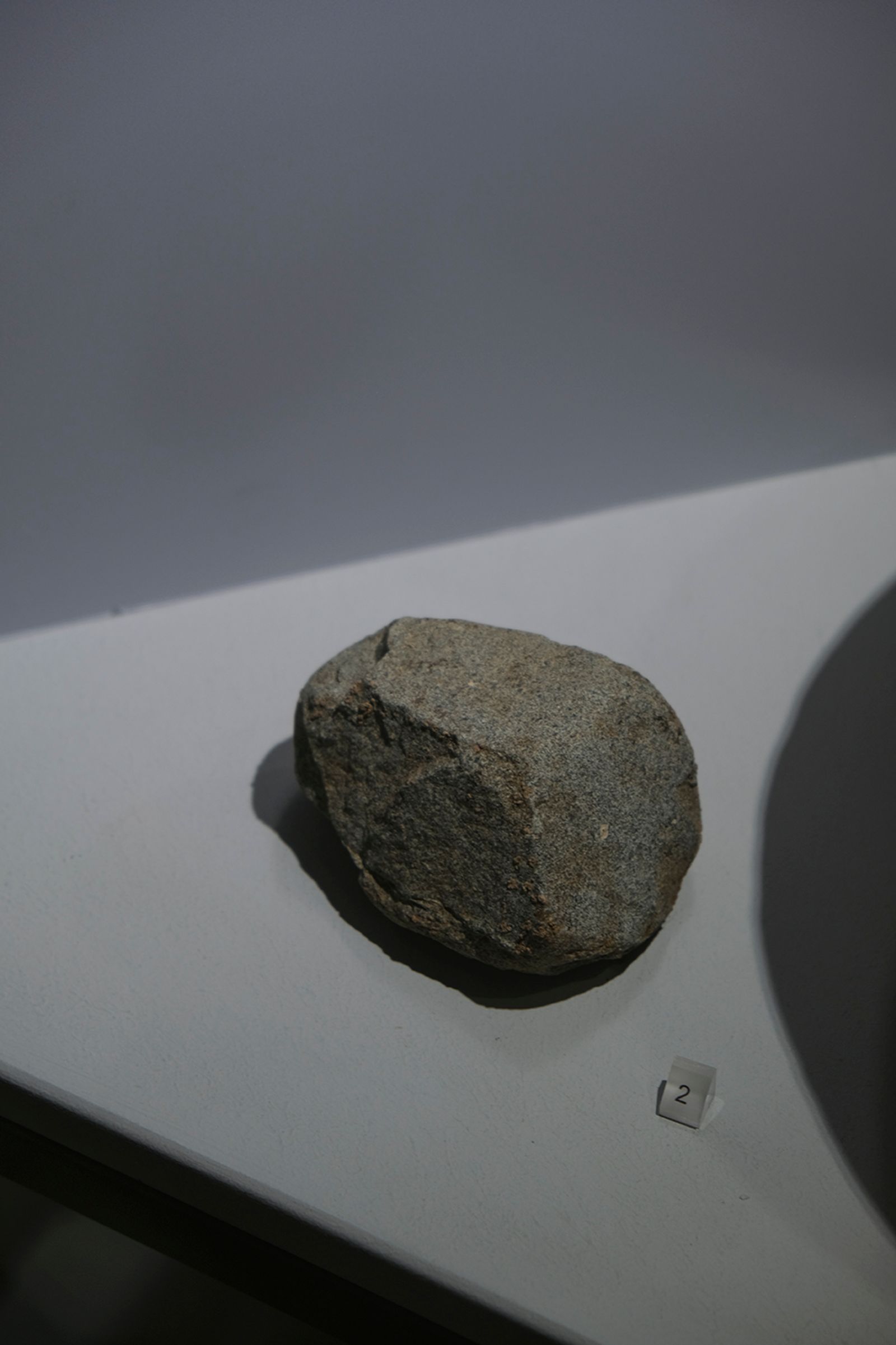 We Never Had Winners - PhMuseum