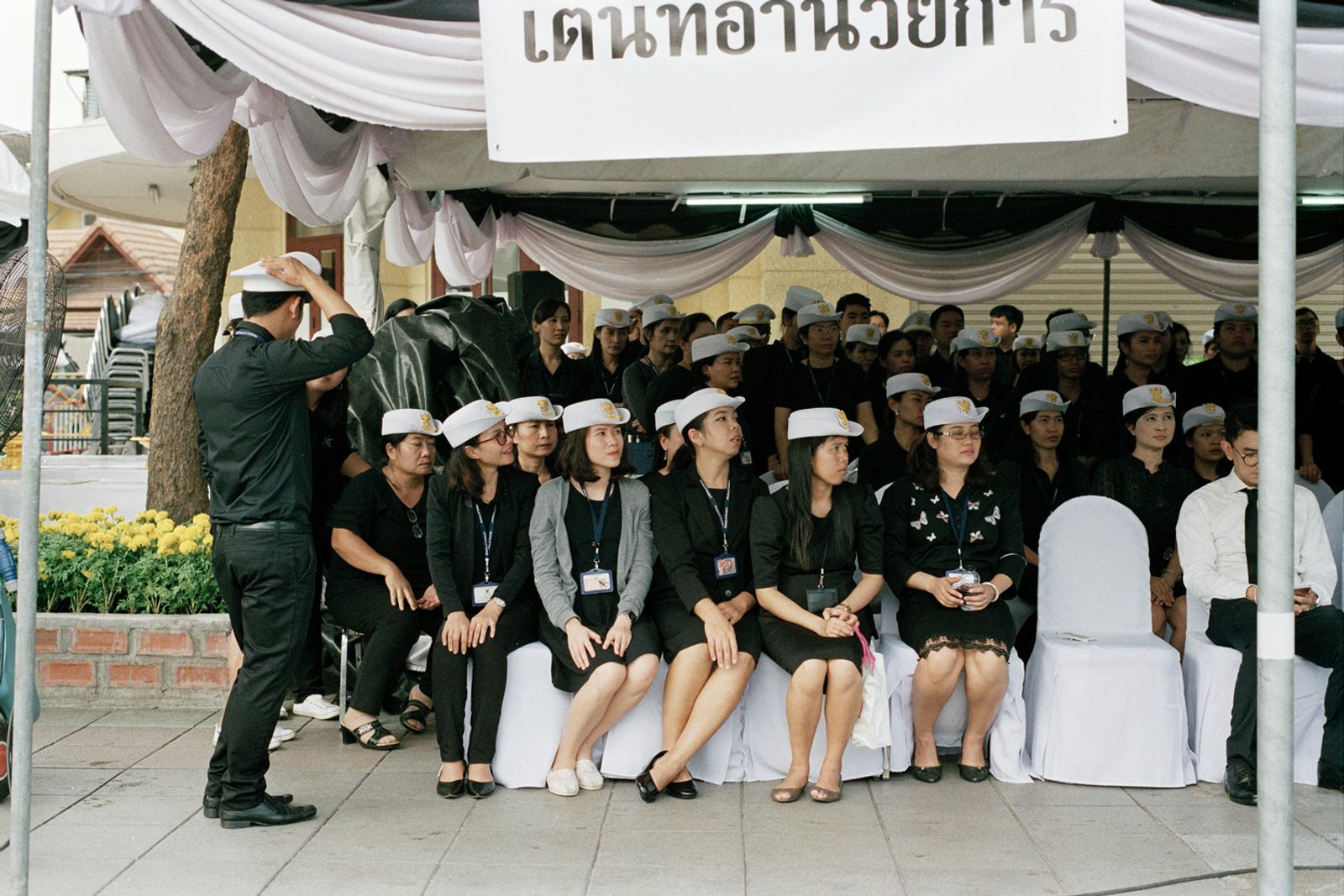 My beloved king - PhMuseum