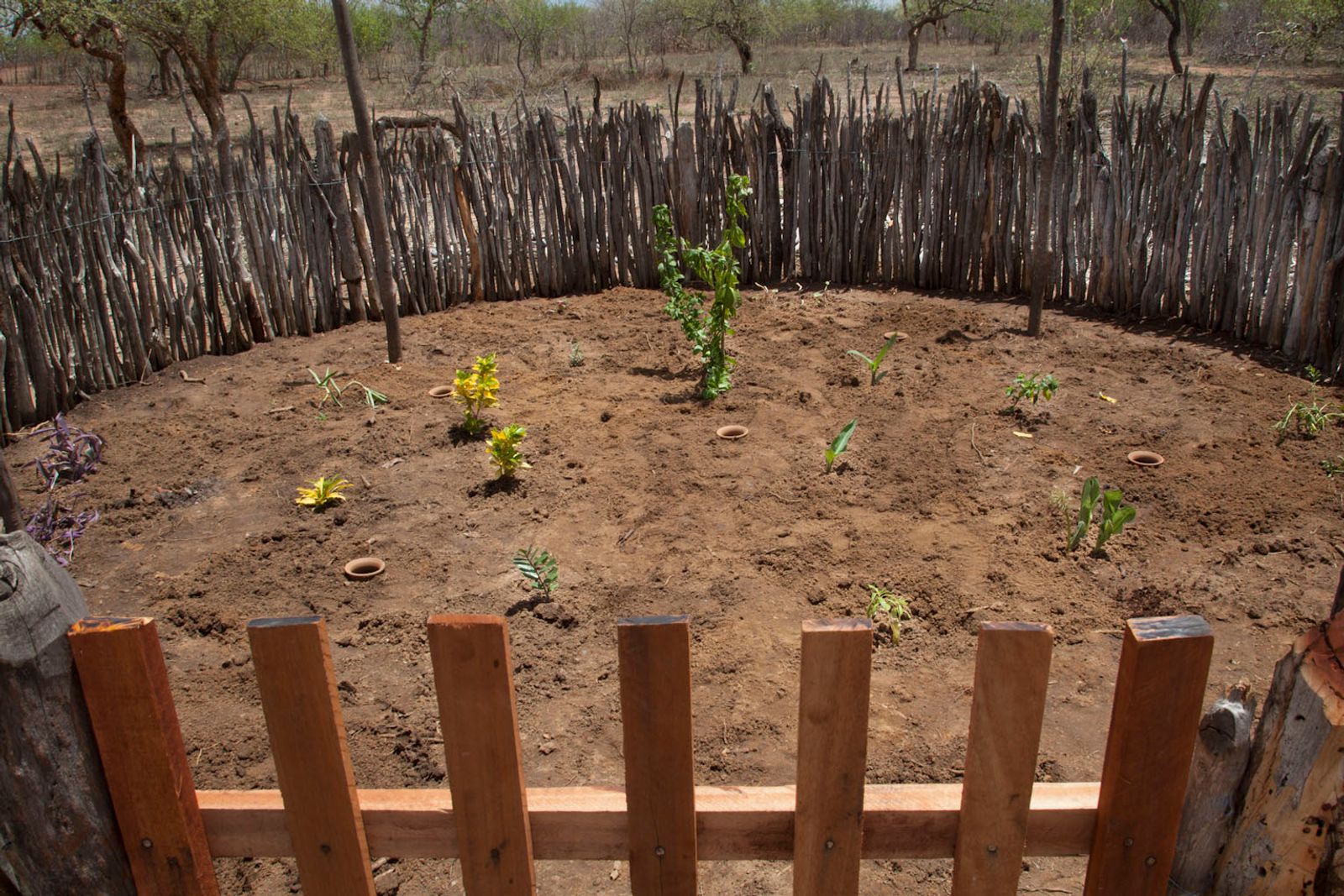 A Garden in Forest - PhMuseum