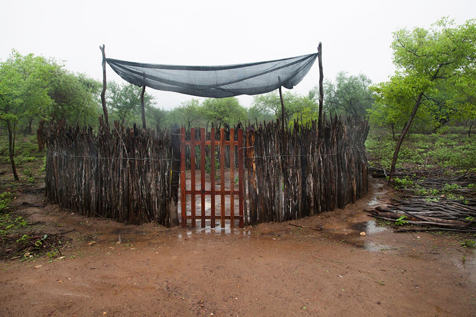 A Garden in Forest - PhMuseum