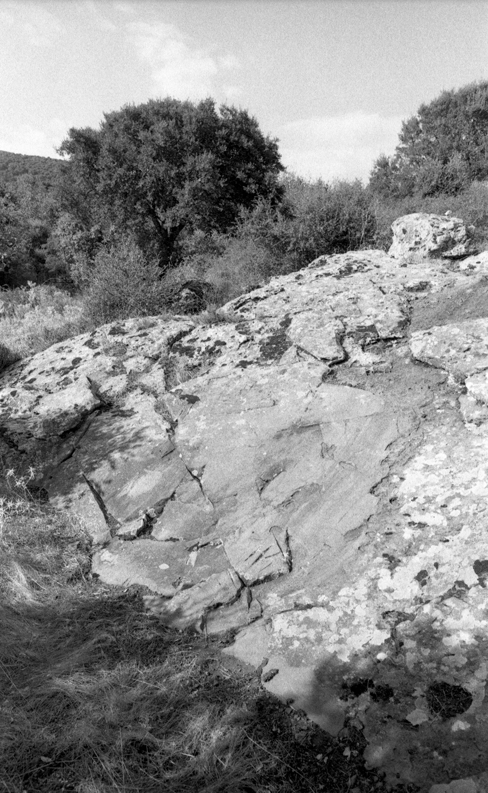 La mora e il cavallo - PhMuseum