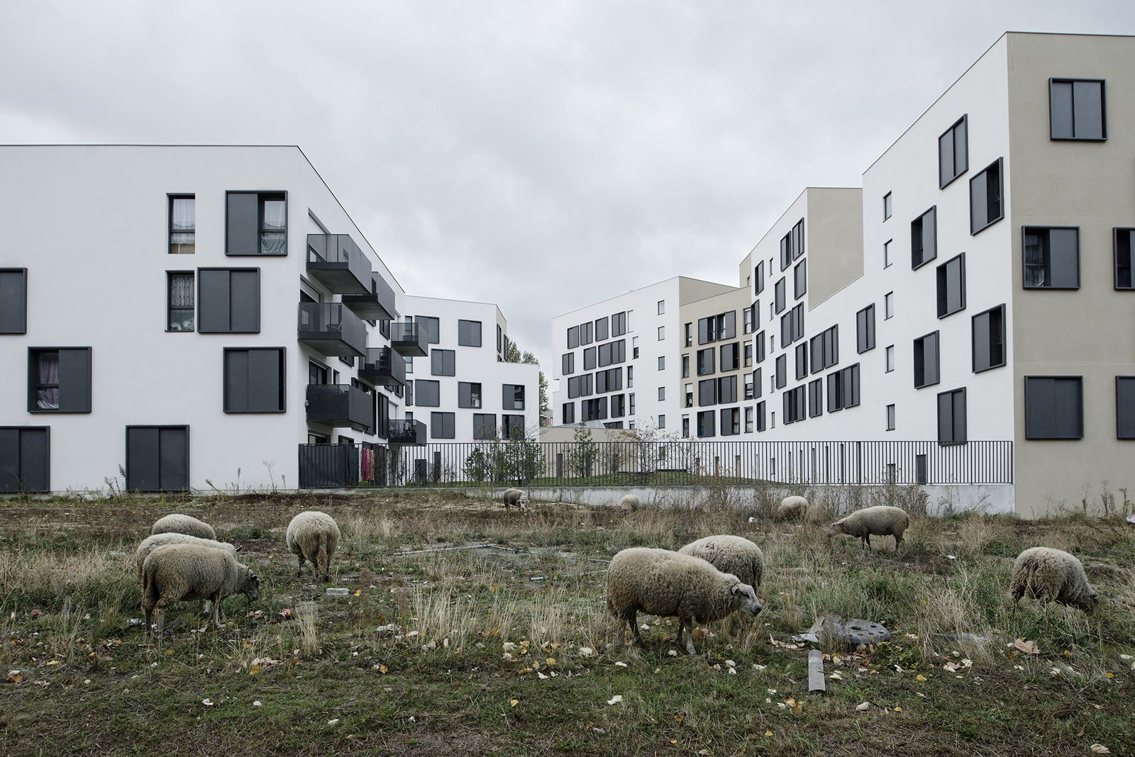 Parisian Agriculture - PhMuseum