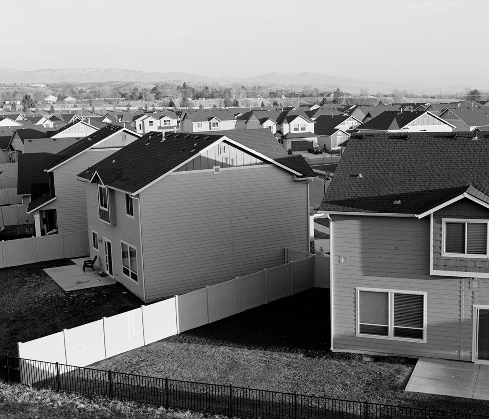 Treading Cheatgrass - PhMuseum