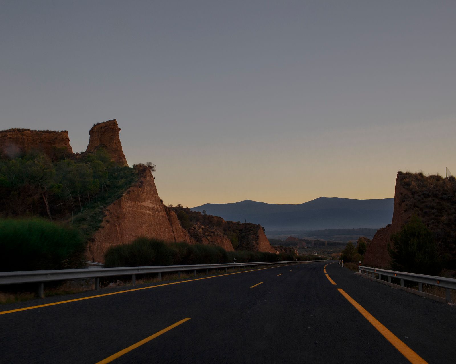 Elvis Rose - PhMuseum