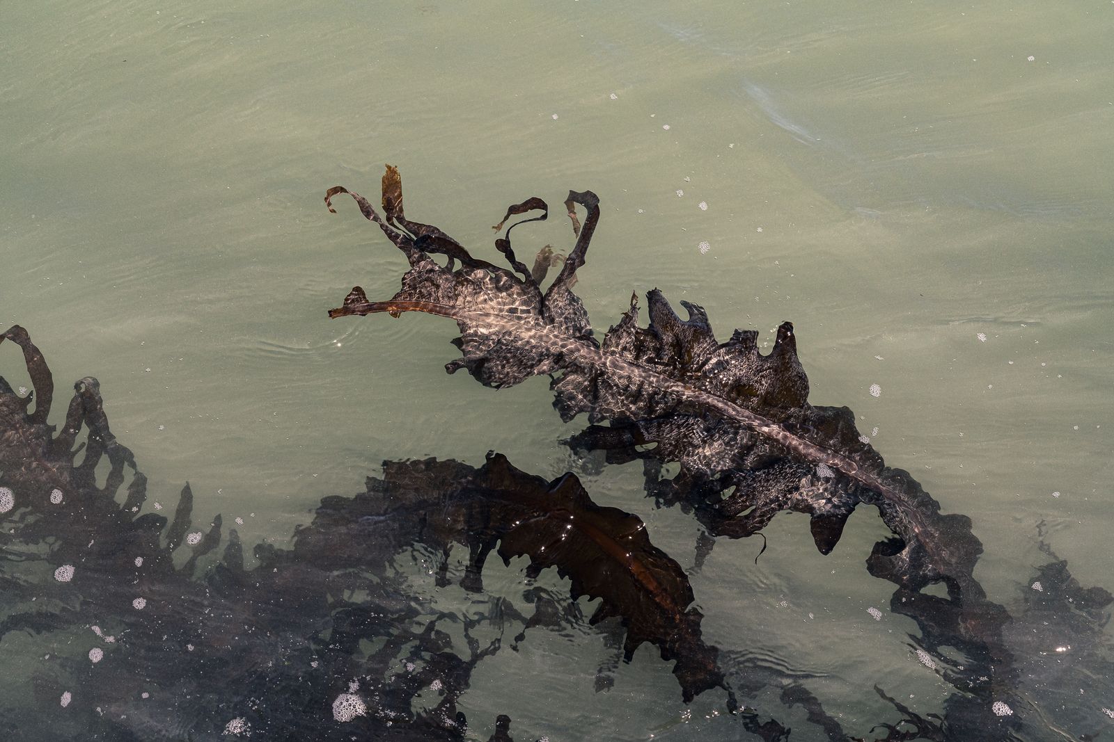 Aqua Marina - PhMuseum