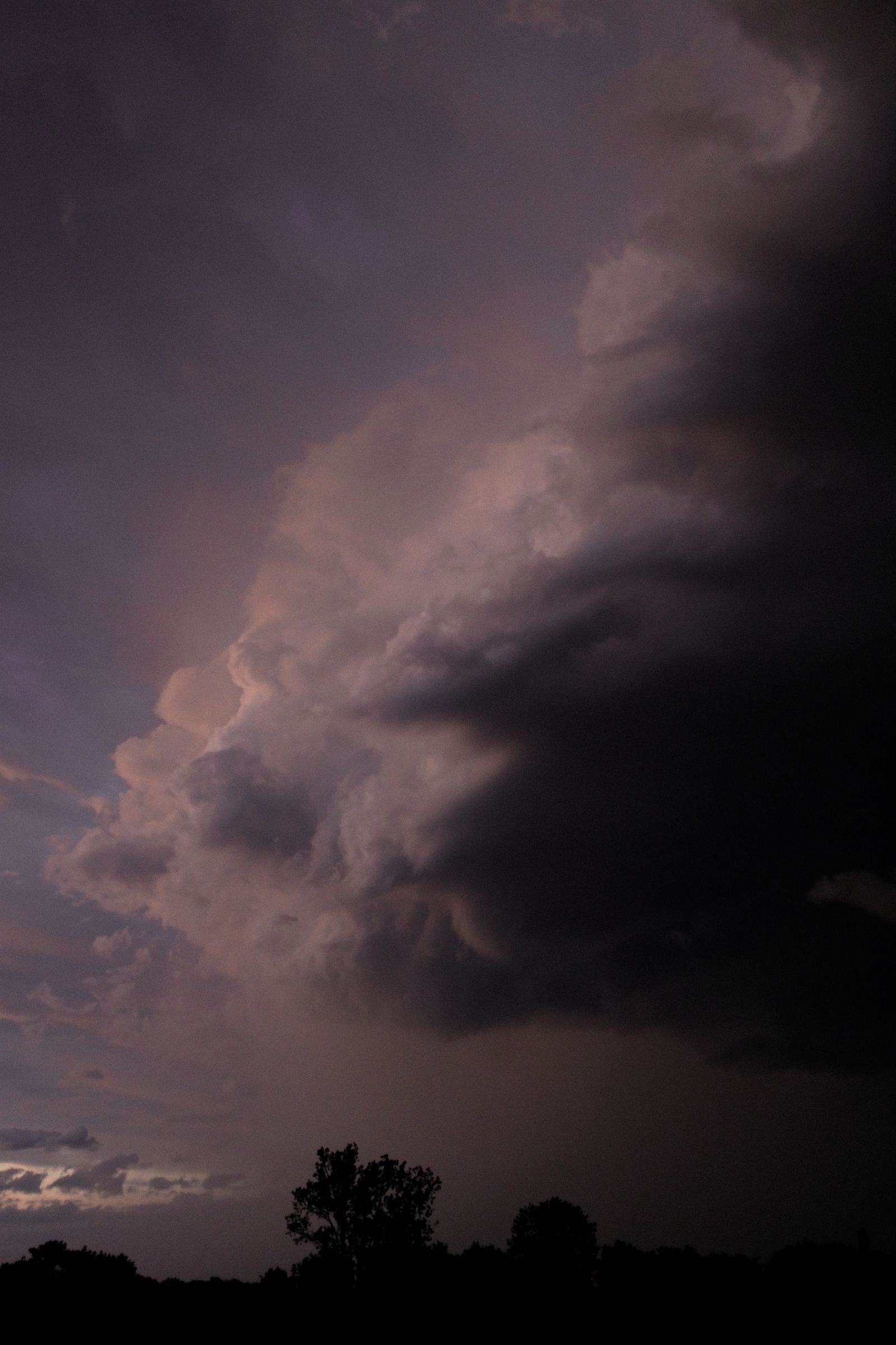 The pains of being pure at heart - PhMuseum