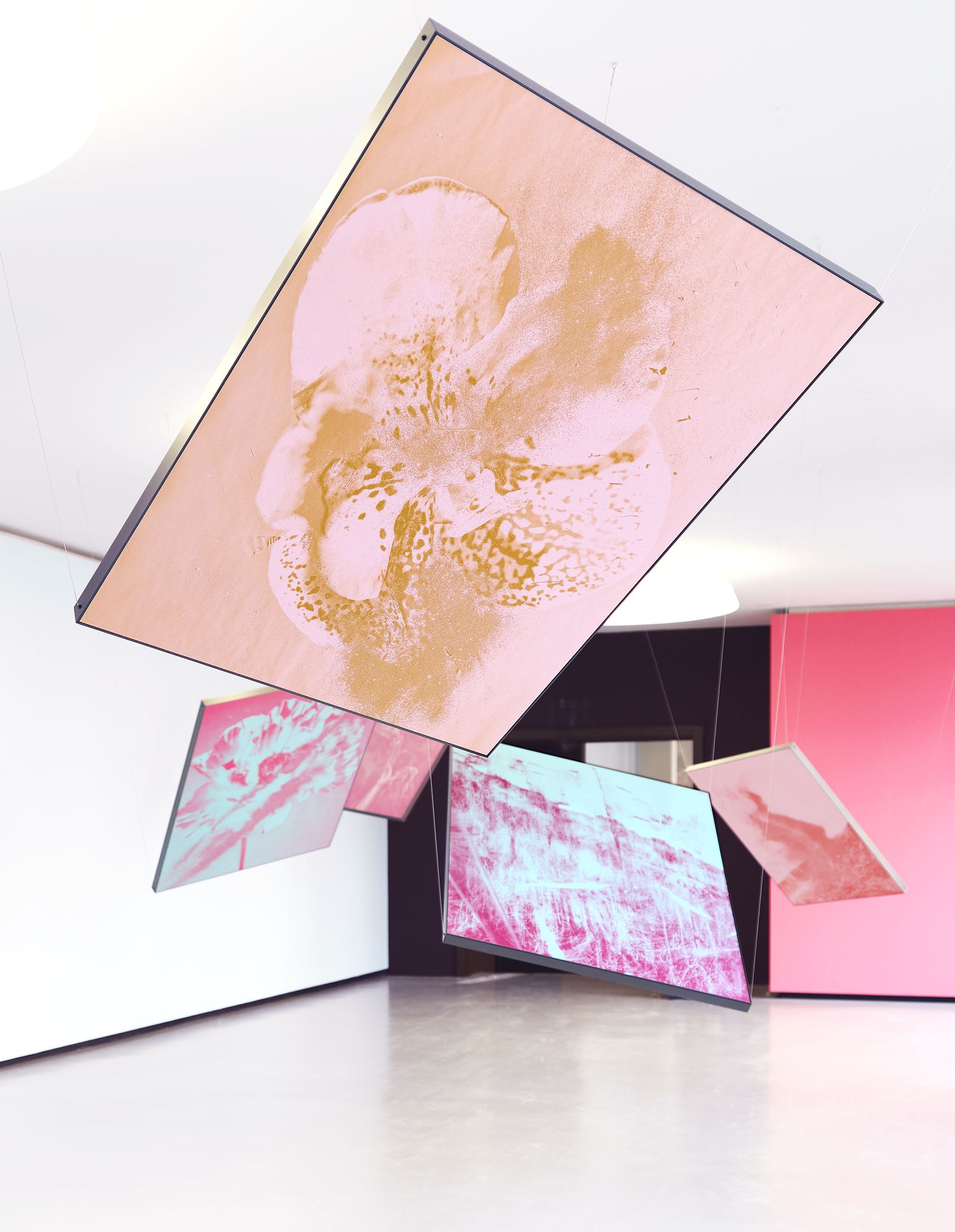 Anima - PhMuseum