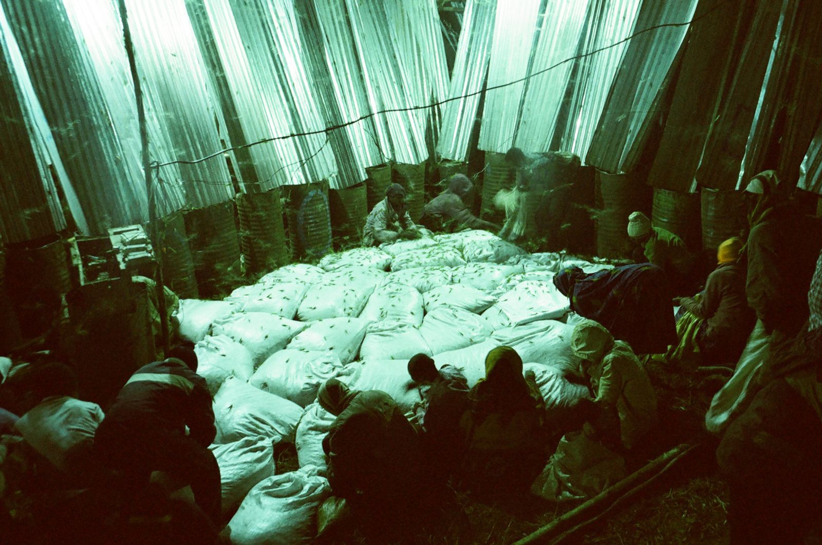 Nsenene Republic - PhMuseum