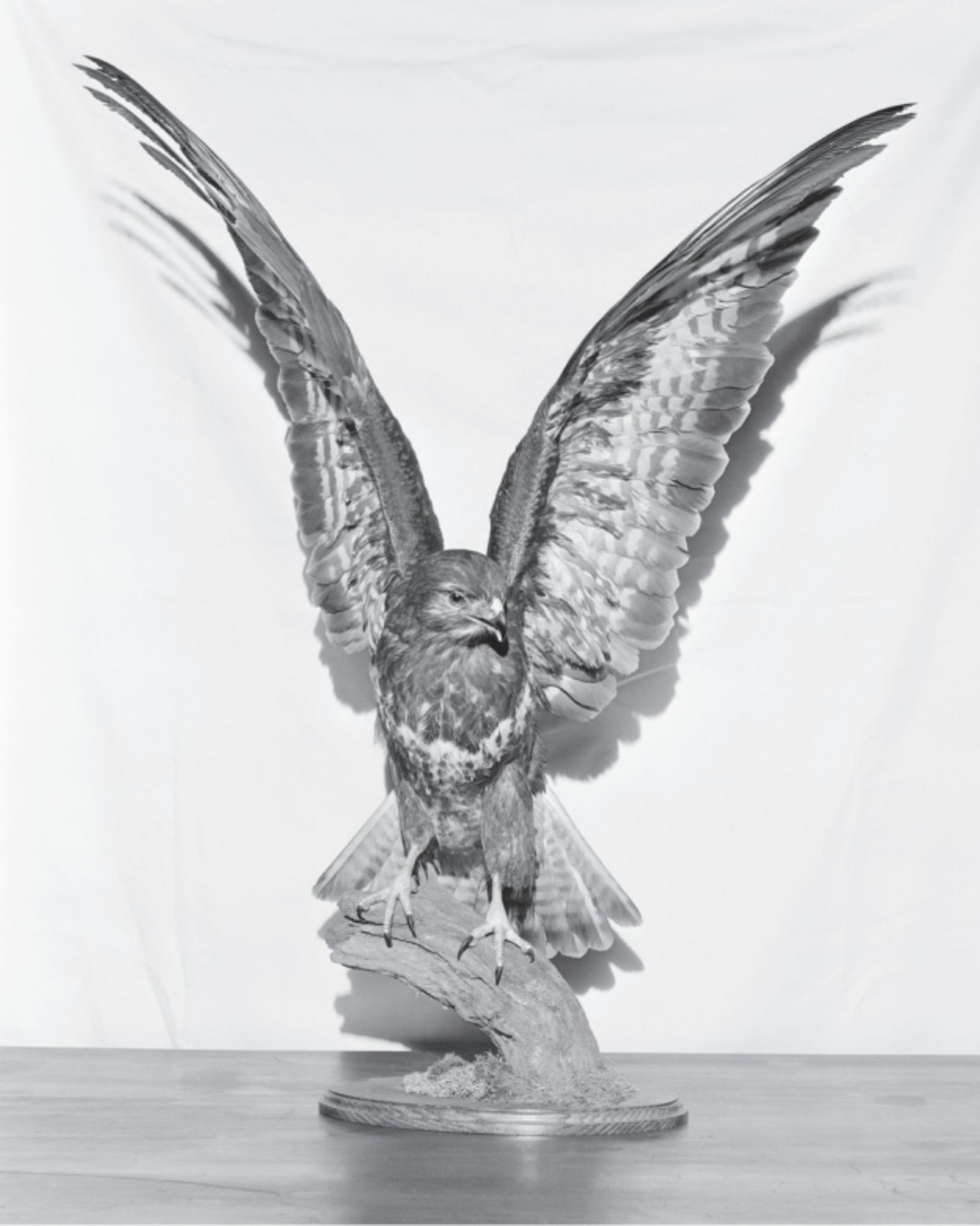 Carte Blanche Students 2025 - PhMuseum