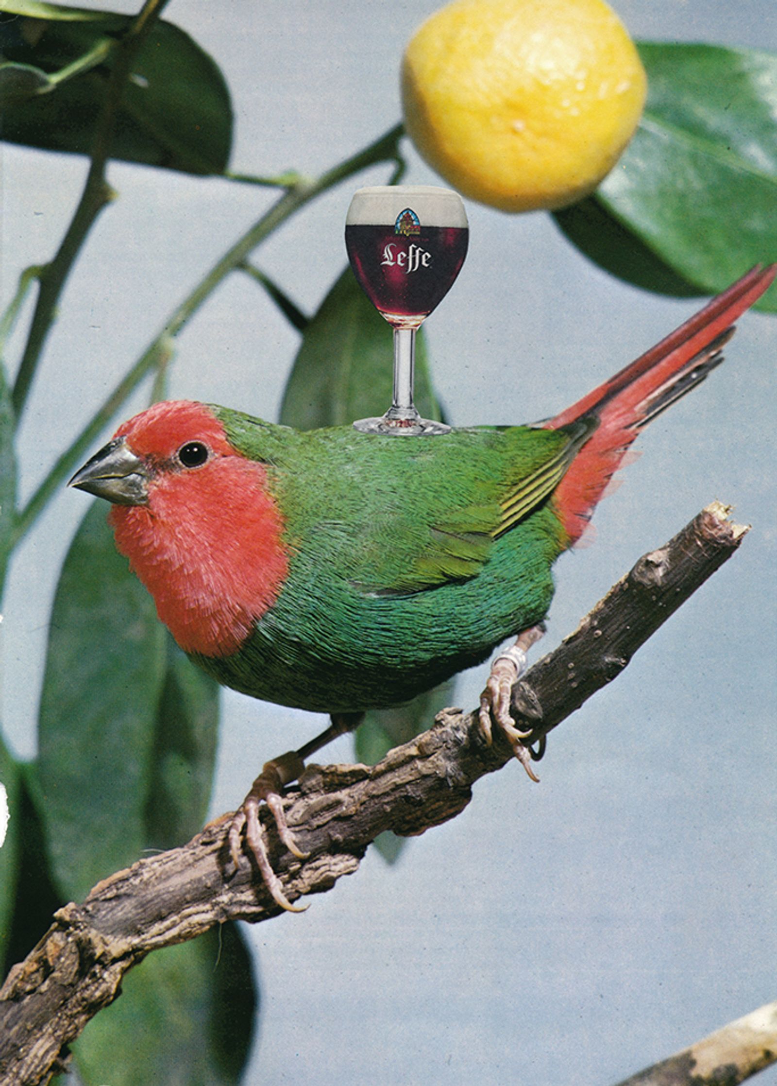 GU.PHO. Festival 2024 - PhMuseum