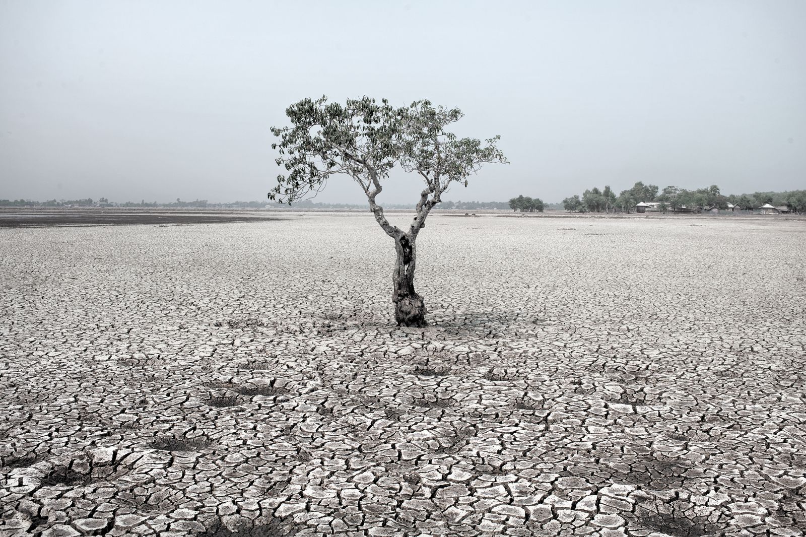 The Land of Despair - PhMuseum