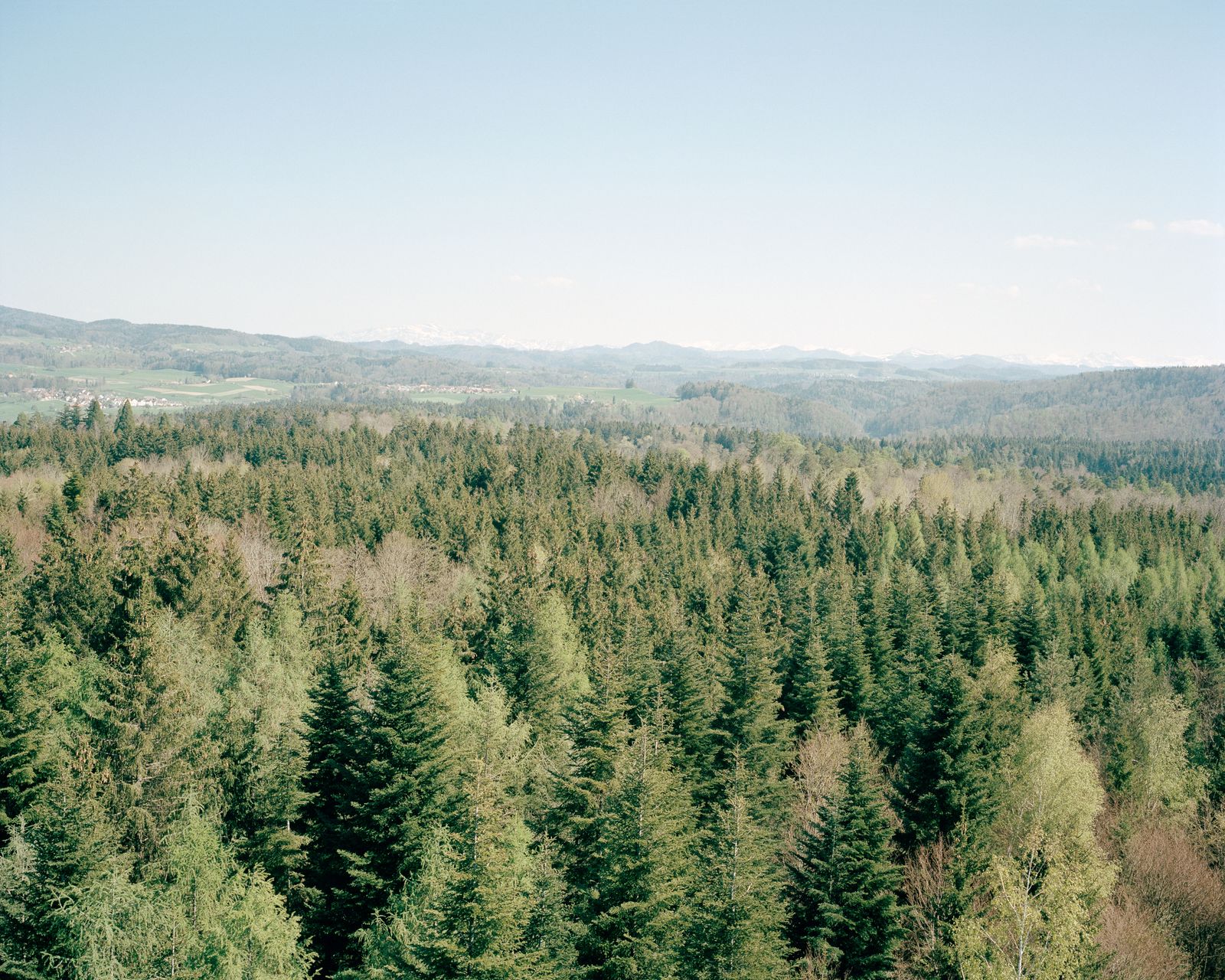 Semjase's Friend - PhMuseum