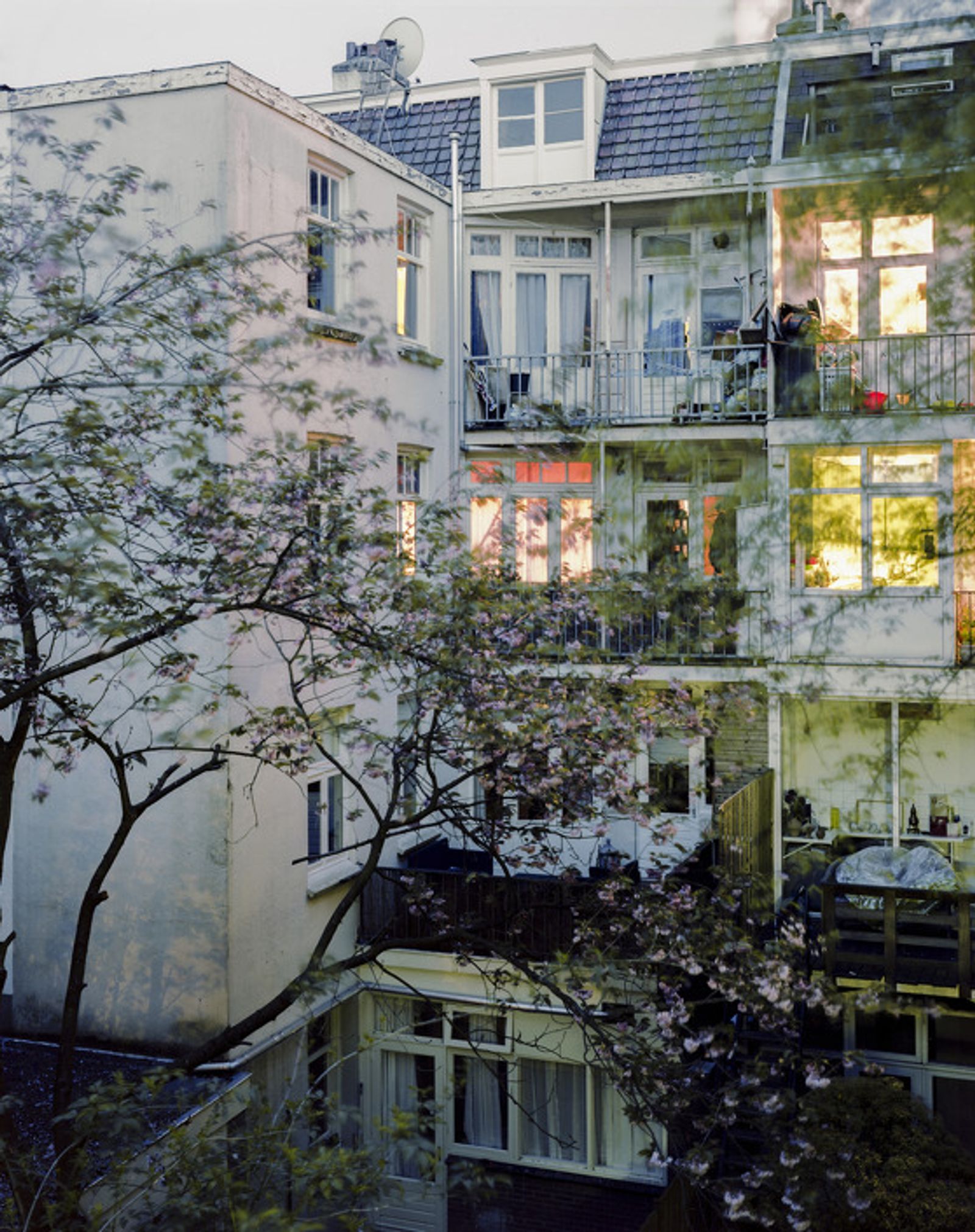 Rear Window - PhMuseum