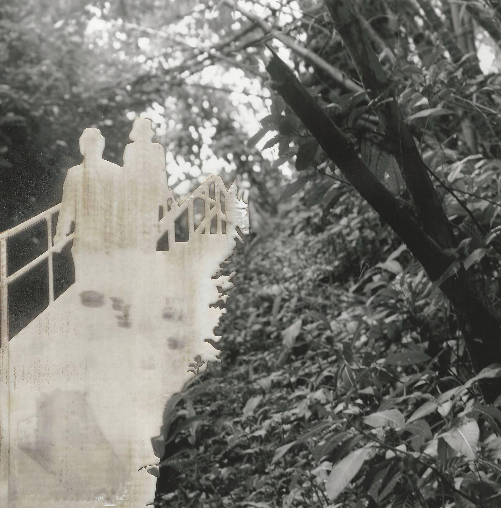 The Invasive Species of the Built Environment - PhMuseum