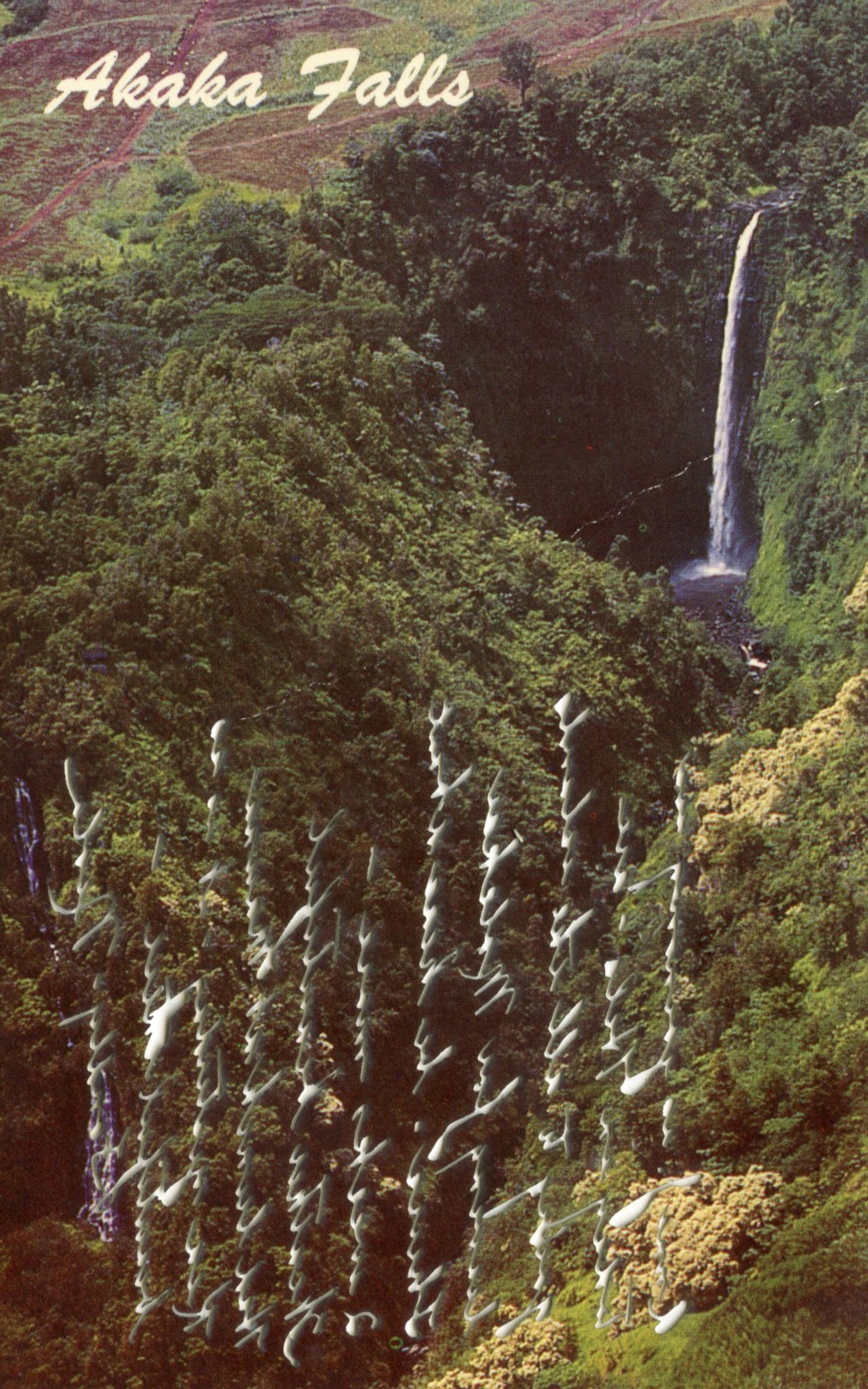 Aloha From Hawaii - PhMuseum