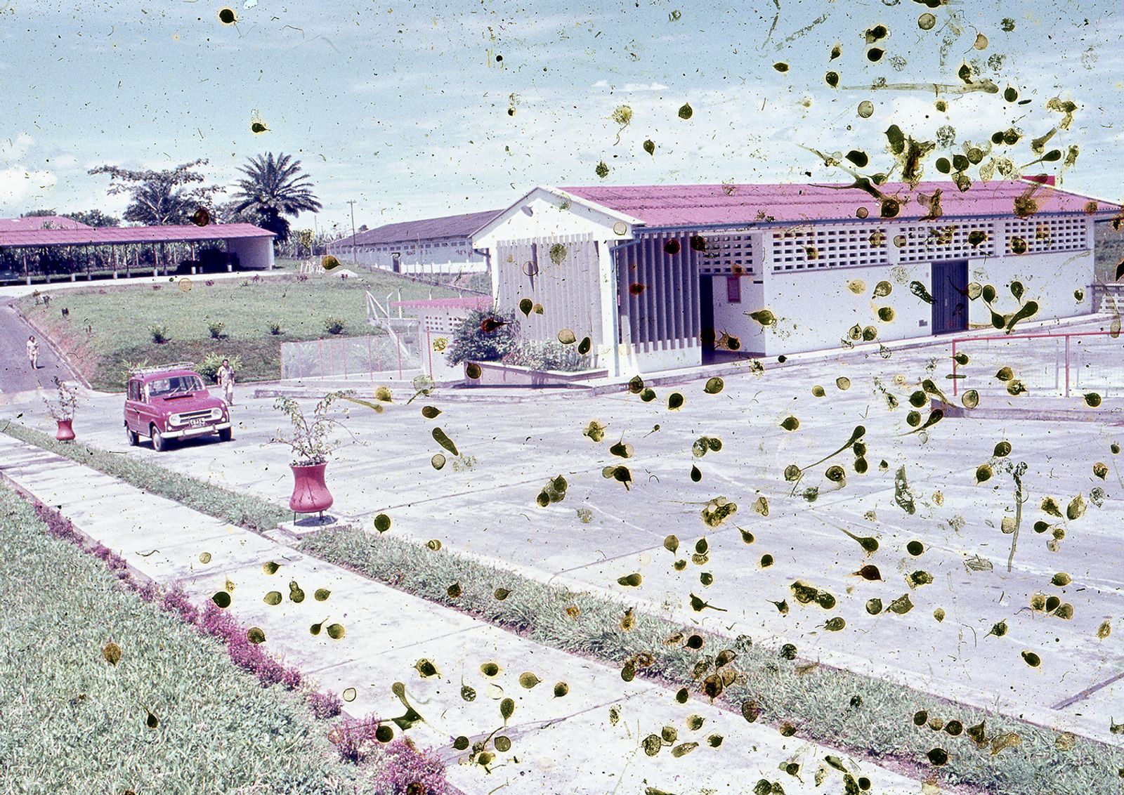 JARDIN DE MI PADRE - PhMuseum