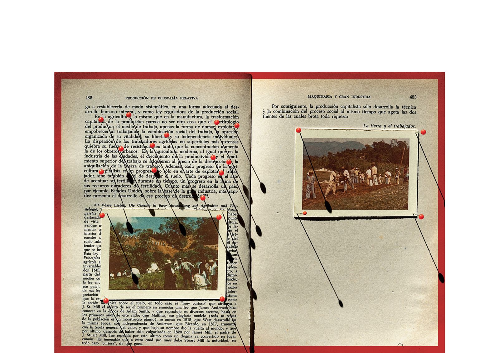 JARDIN DE MI PADRE - PhMuseum