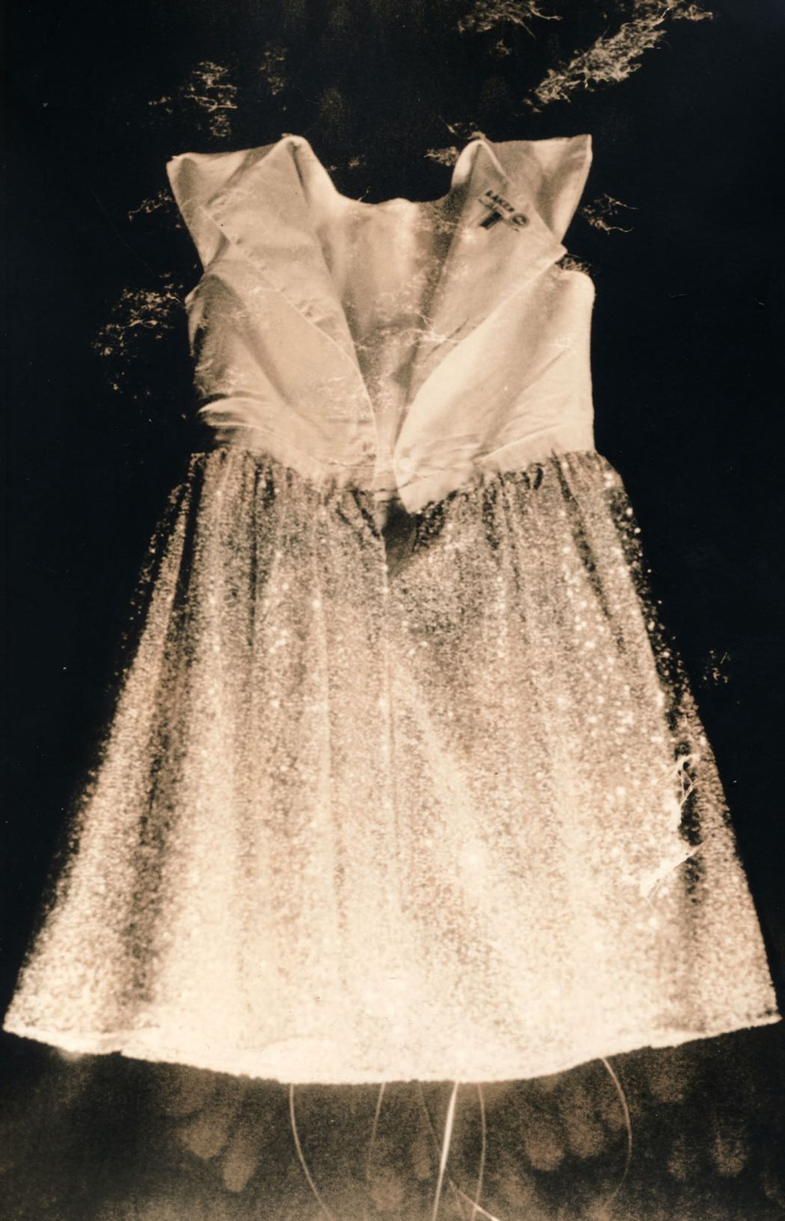 Reanimate - PhMuseum