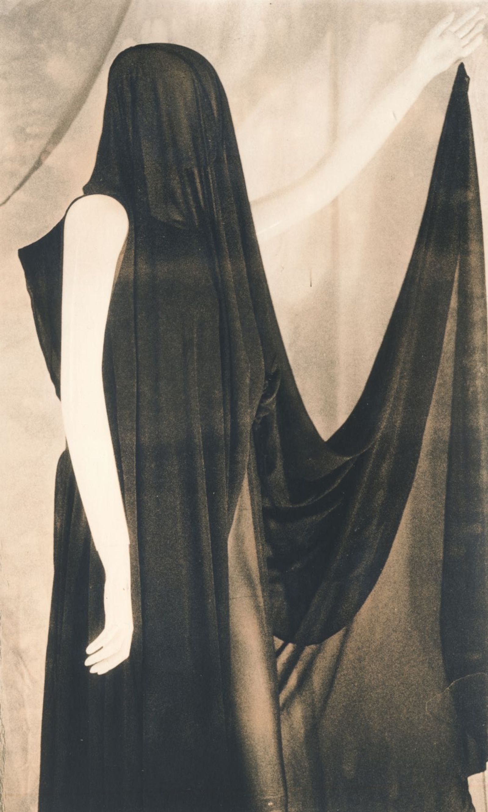 Reanimate - PhMuseum