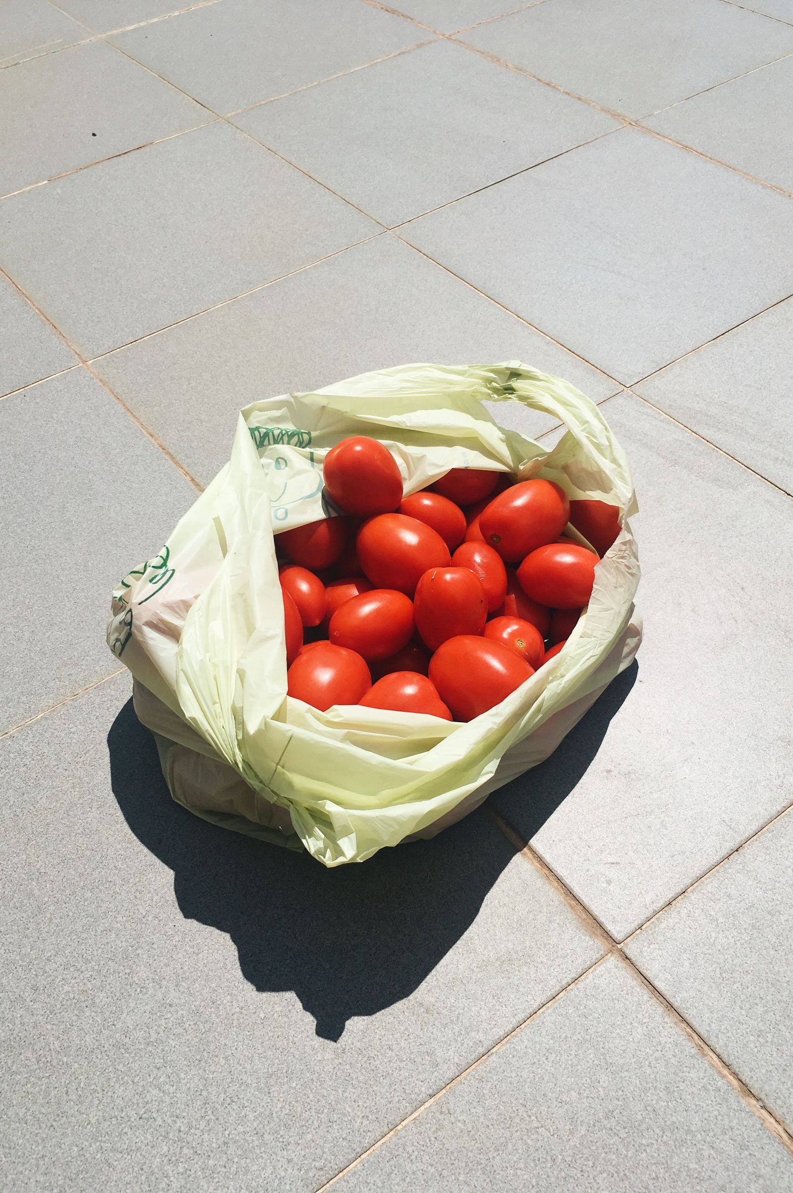 Siamo dei - PhMuseum