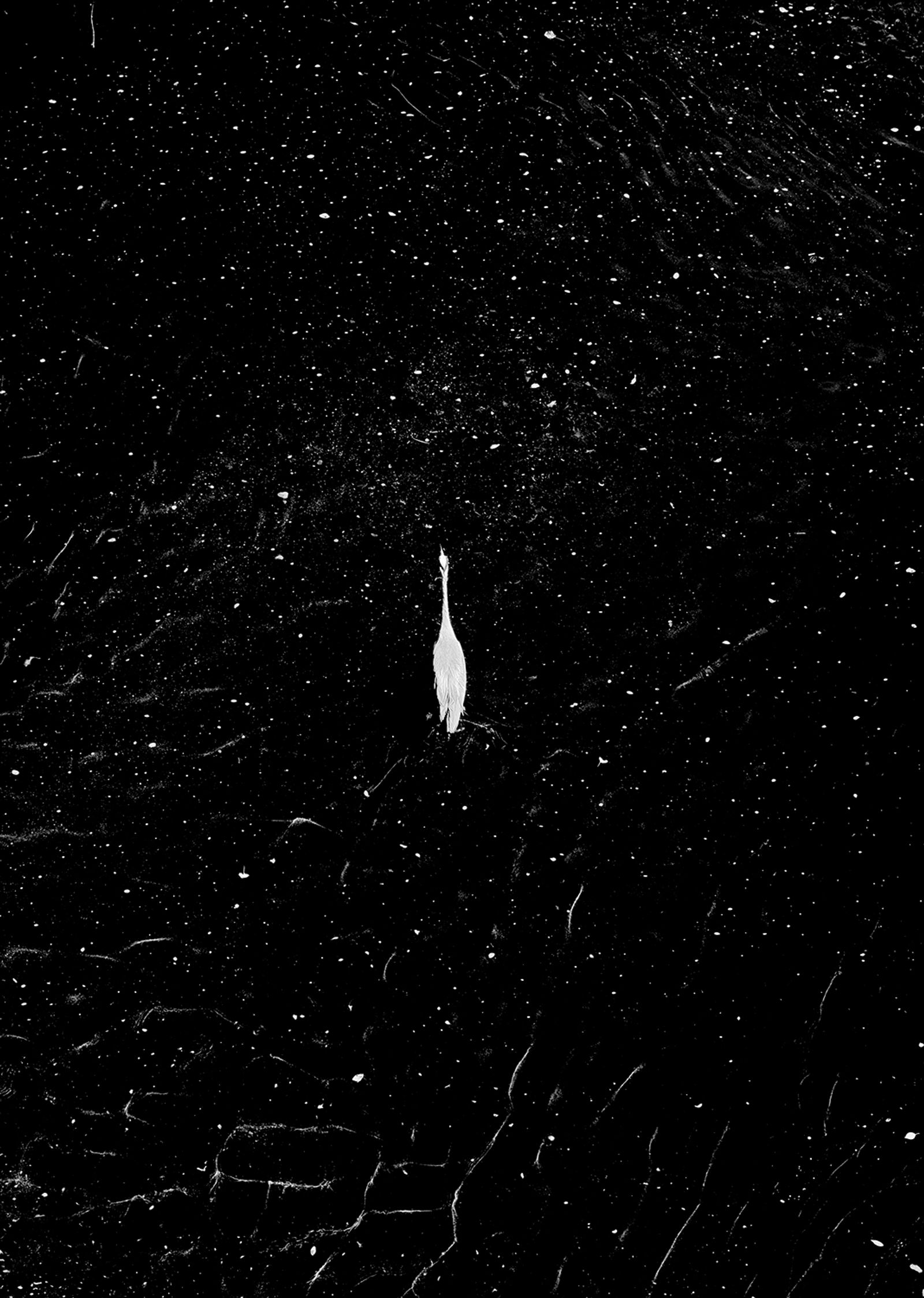 Atlas of voids - PhMuseum