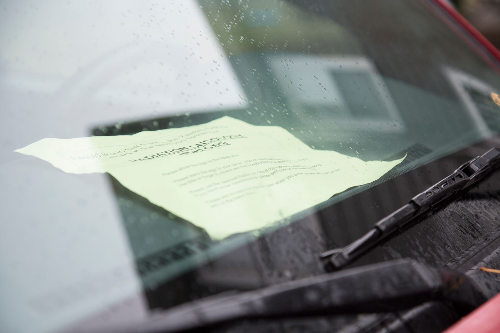 More Than Skin Deep - PhMuseum