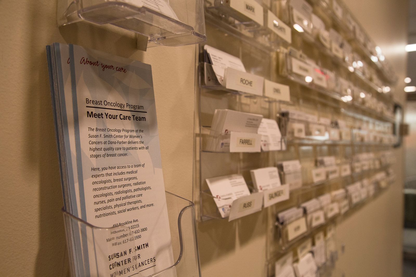 More Than Skin Deep - PhMuseum