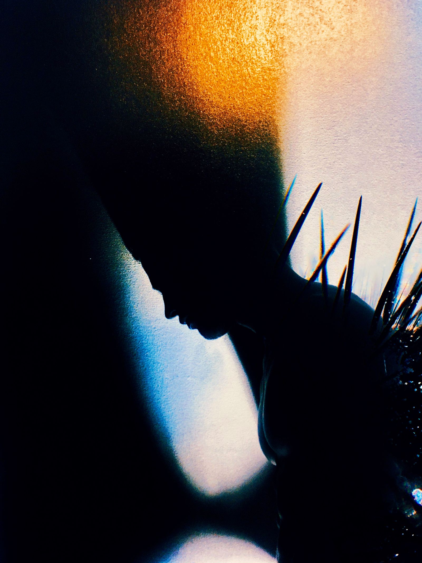 The Claxo M. Project - PhMuseum