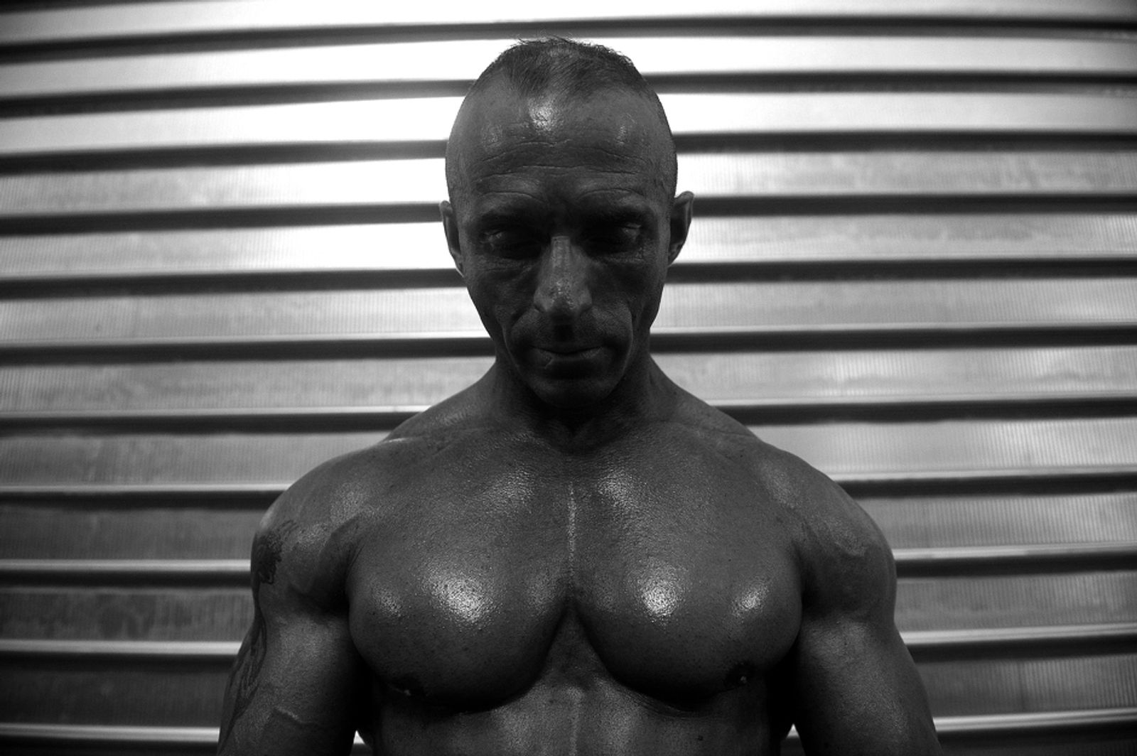 Muscles factory - PhMuseum