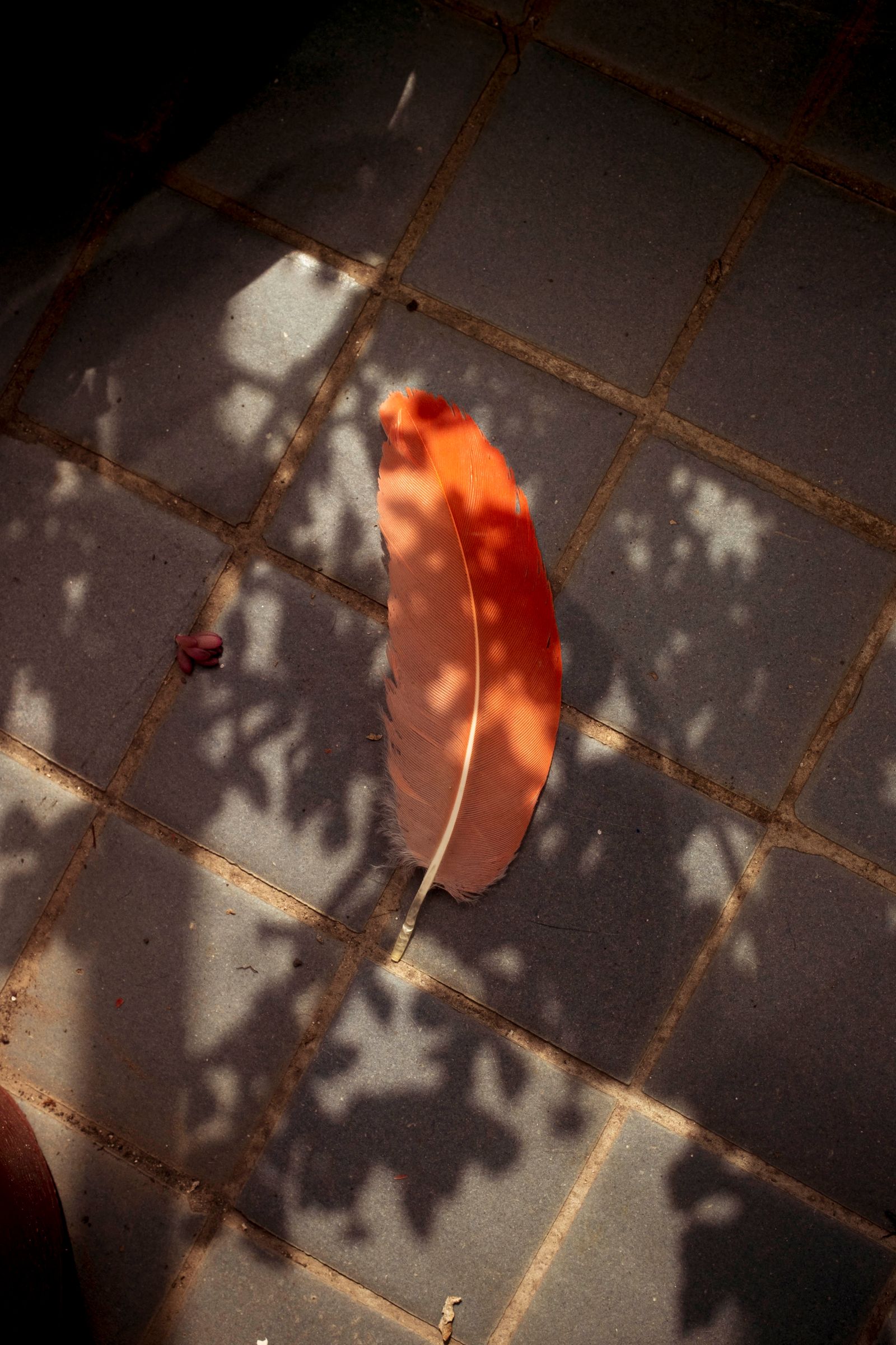 As if the Sea should part - PhMuseum