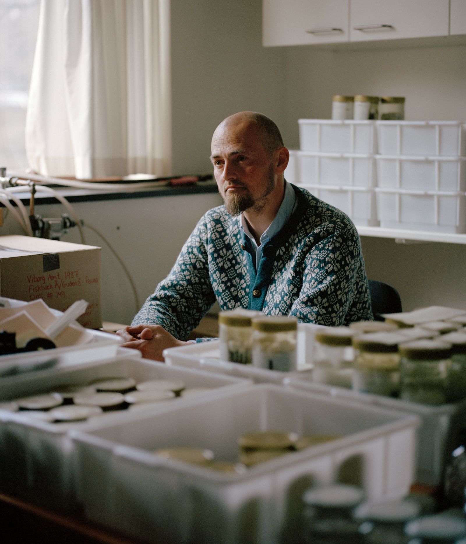 Wolf land - PhMuseum