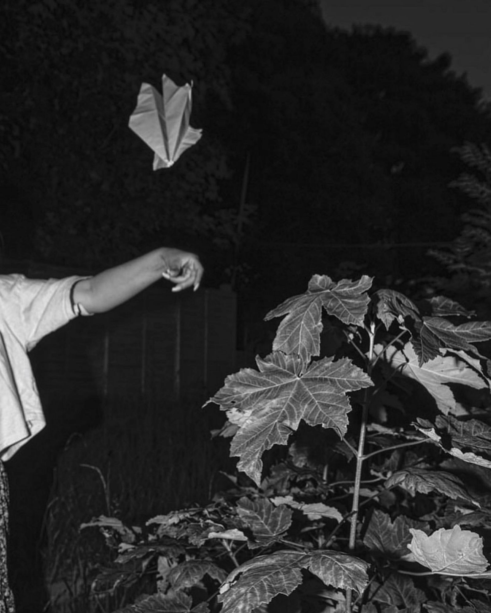 New moons - PhMuseum