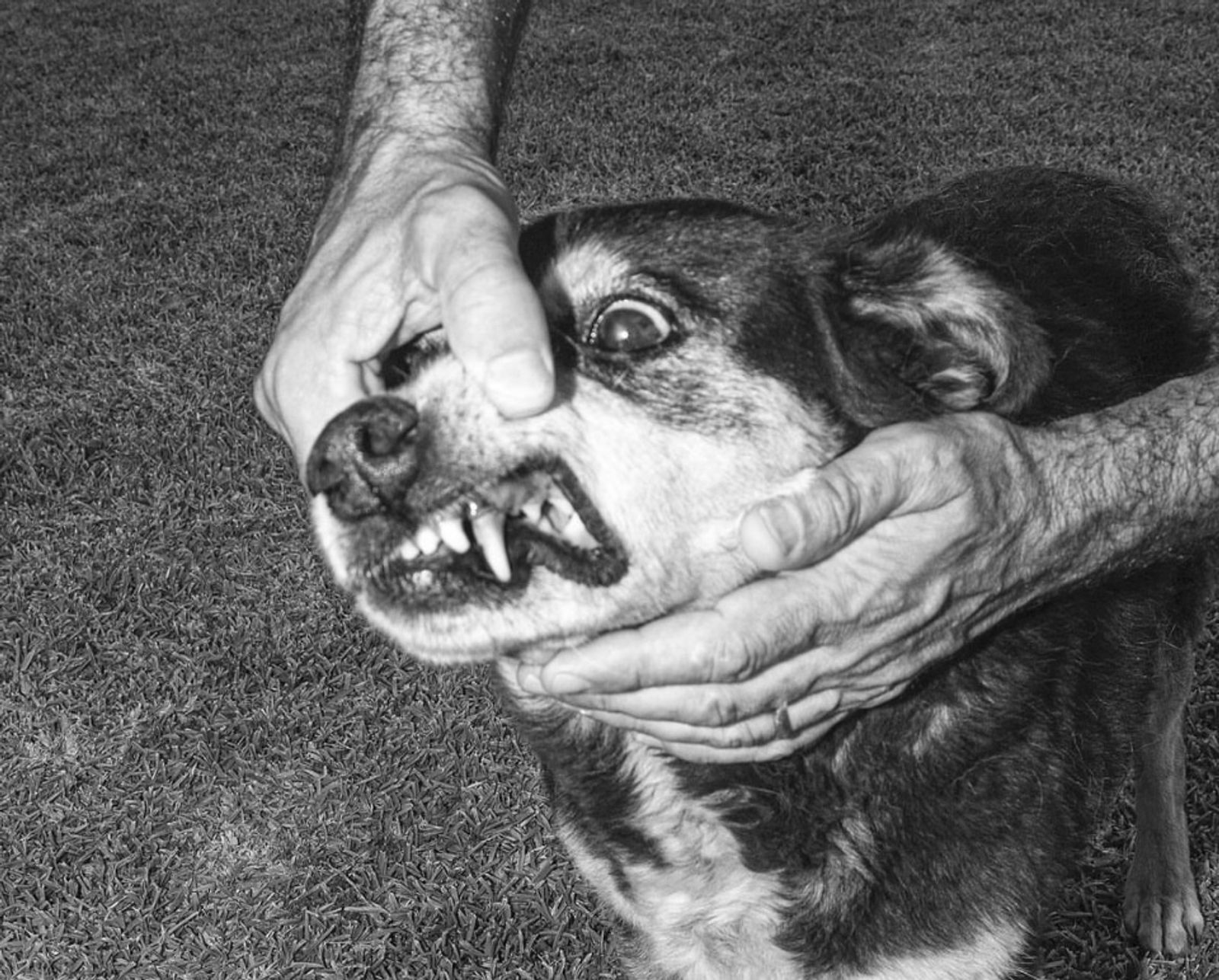 New moons - PhMuseum