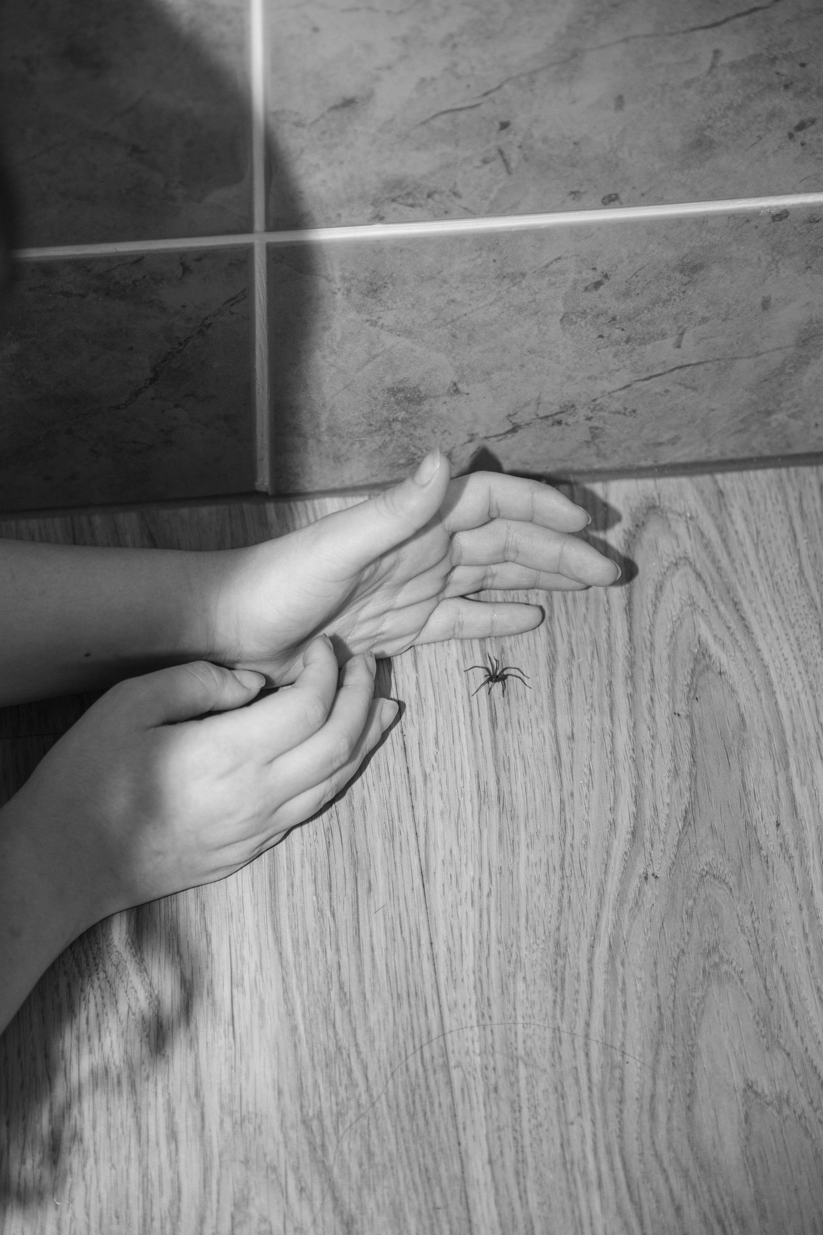 New Moons - PhMuseum