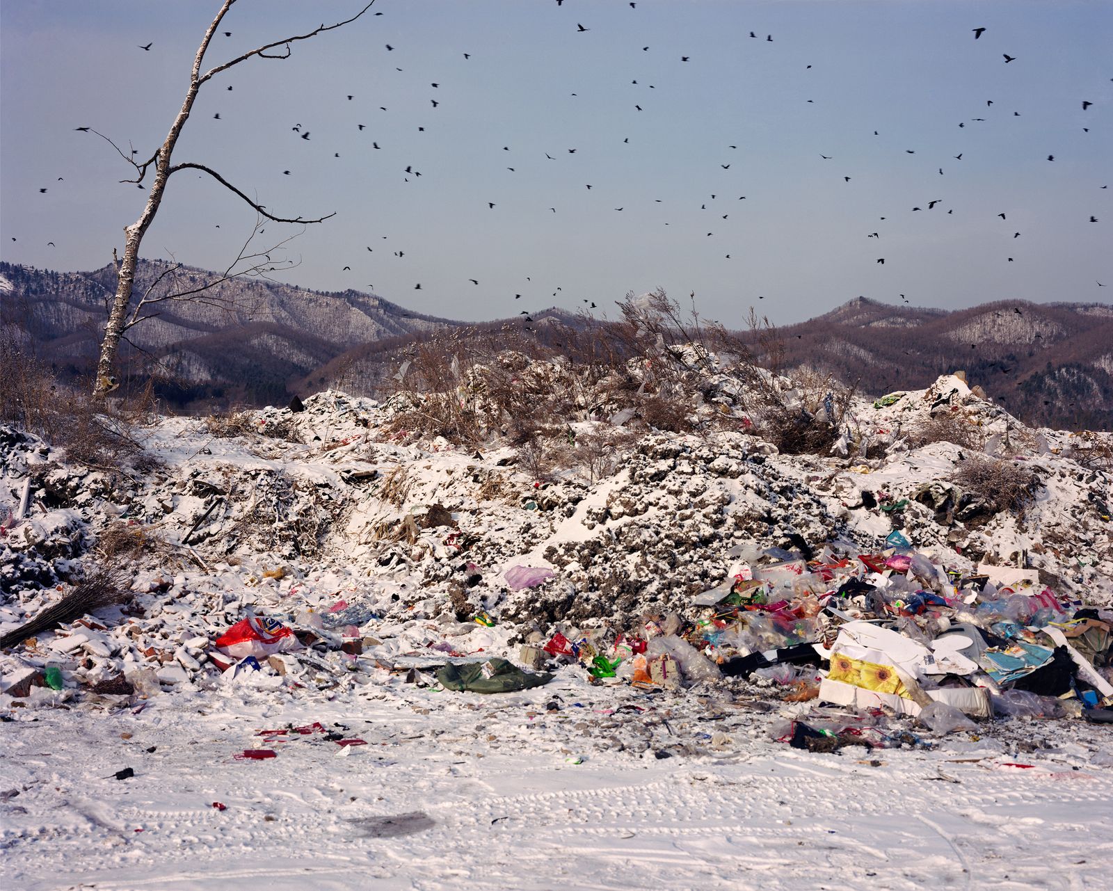 Freezing Land - PhMuseum