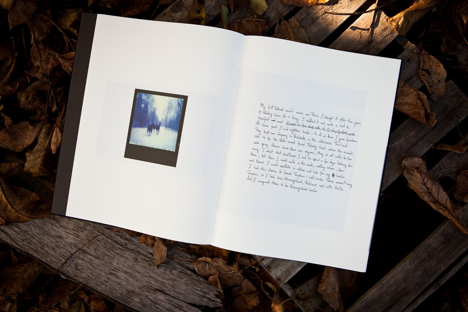 9 GATES OF NO RETURN by Agata Grzybowska - PhMuseum