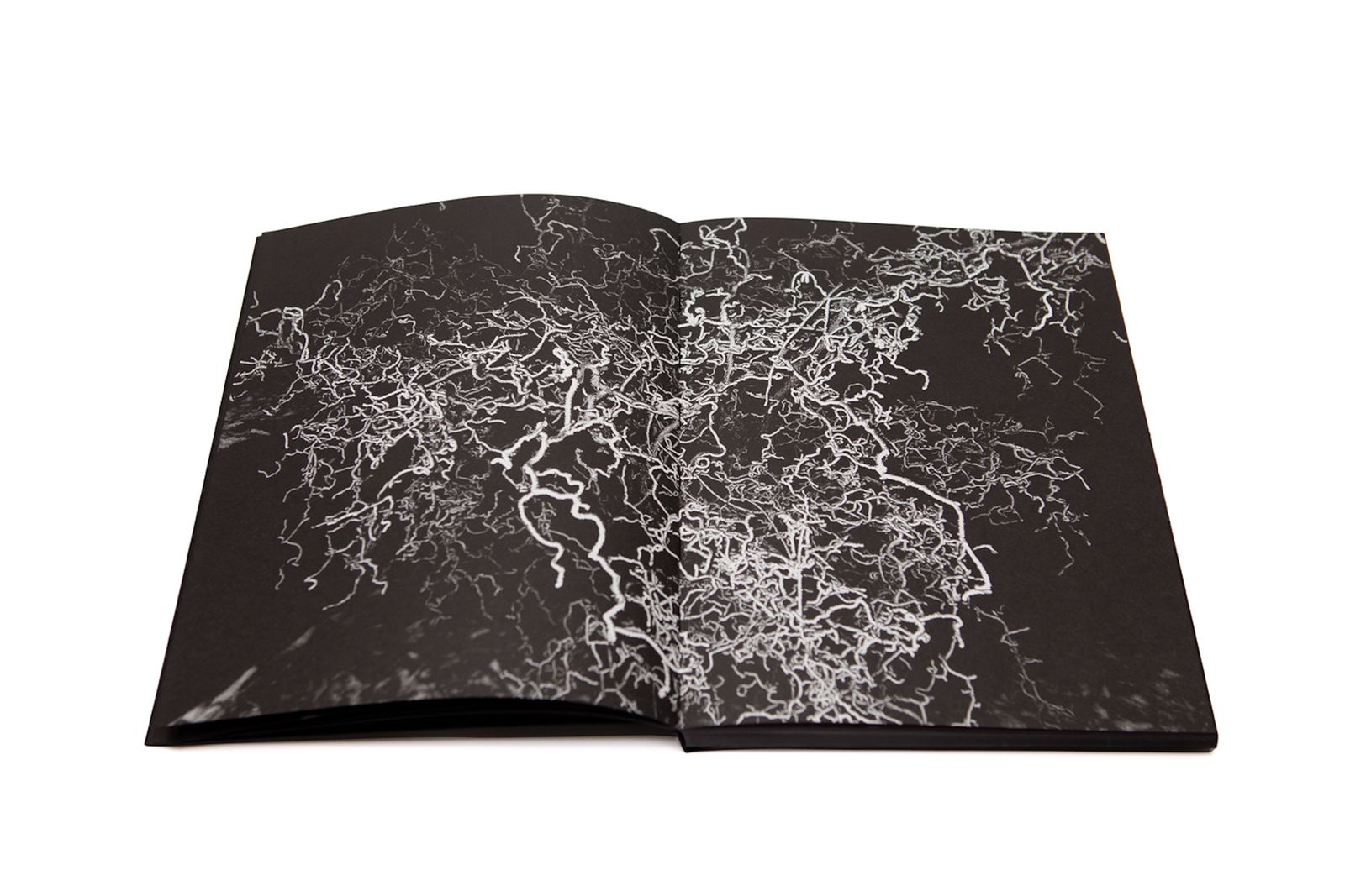 DECEITFUL REVERENCE by Igor Pisuk - PhMuseum